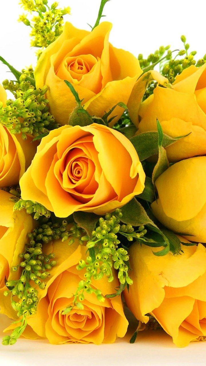 Rose Tablet Wallpapers - Top Free Rose Tablet Backgrounds - WallpaperAccess