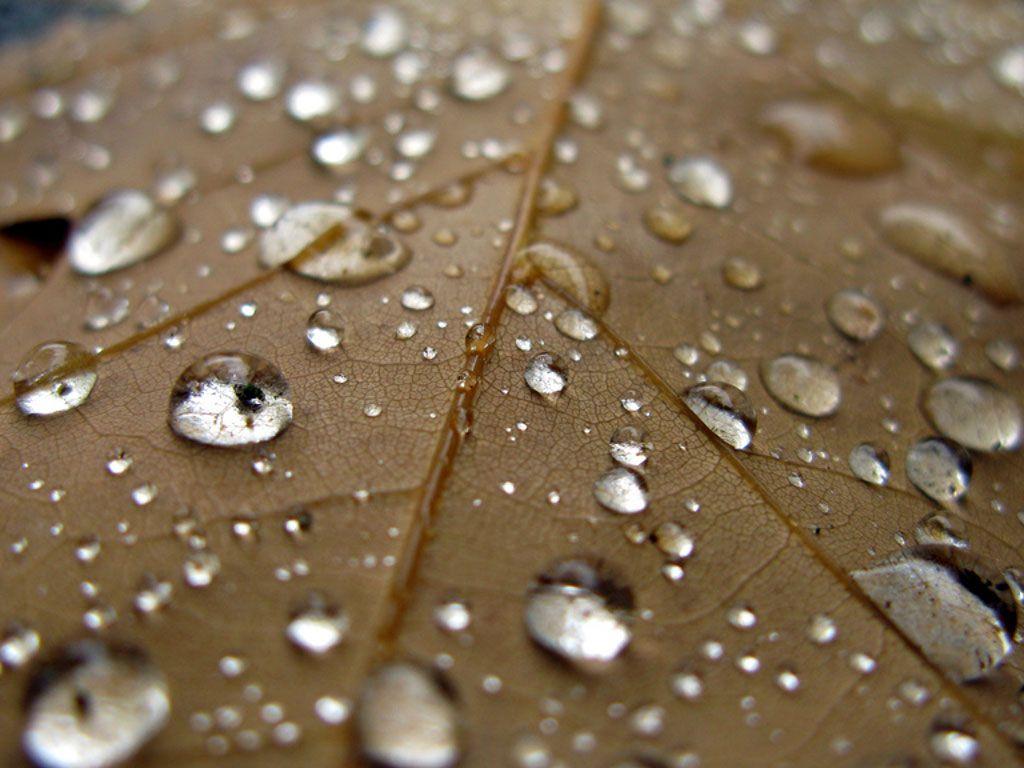 Amazon Tablet Wallpapers - Top Free Amazon Tablet Backgrounds ...