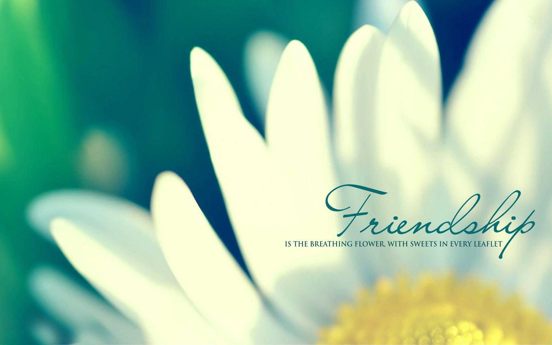 Friend Quote Wallpapers - Top Free Friend Quote Backgrounds ...