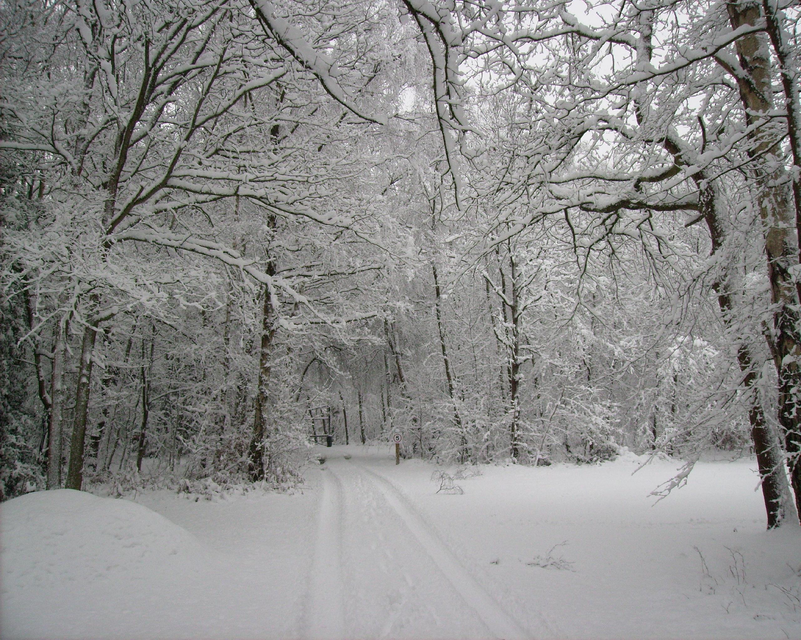 Snowscape Wallpapers - Top Free Snowscape Backgrounds - WallpaperAccess