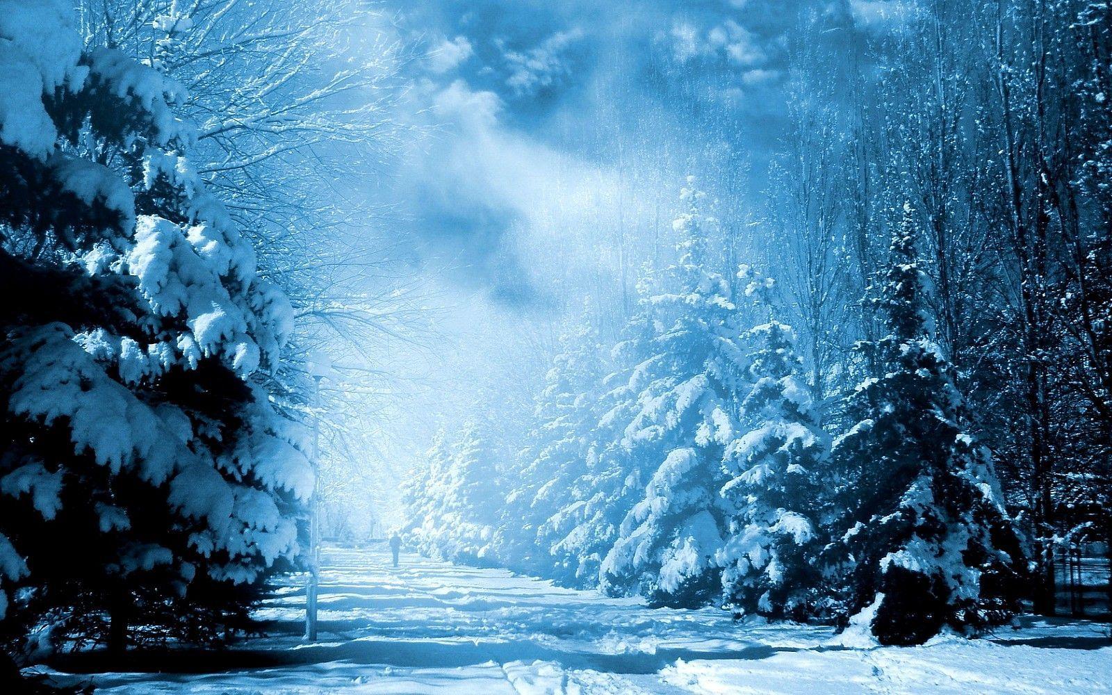 Snowscape Wallpapers - Top Free Snowscape Backgrounds - WallpaperAccess