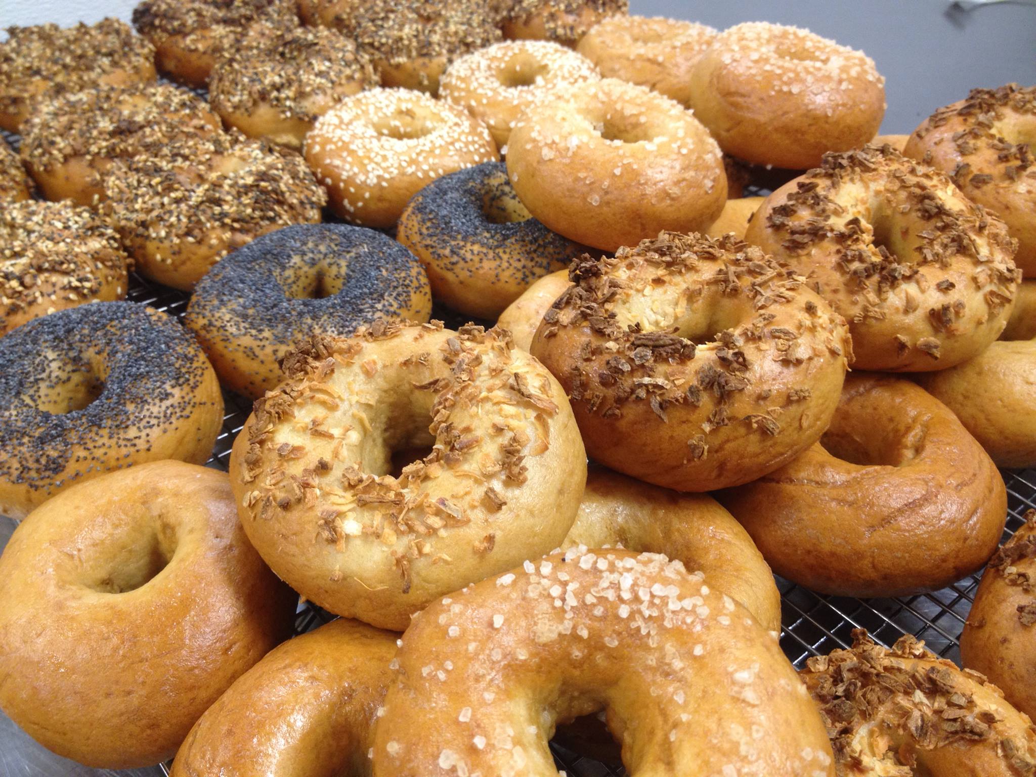 Bagel Wallpapers - Top Free Bagel Backgrounds - WallpaperAccess