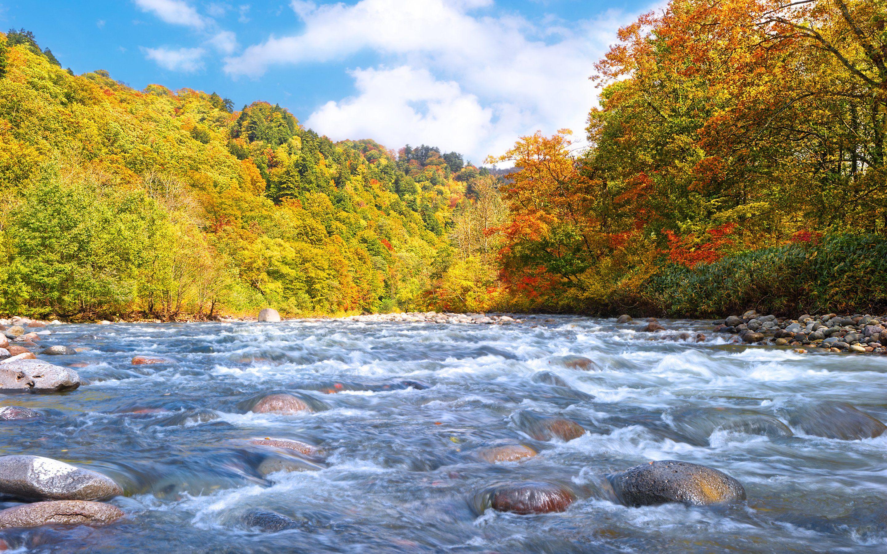 Early Autumn Nature Wallpapers - Top Free Early Autumn Nature ...
