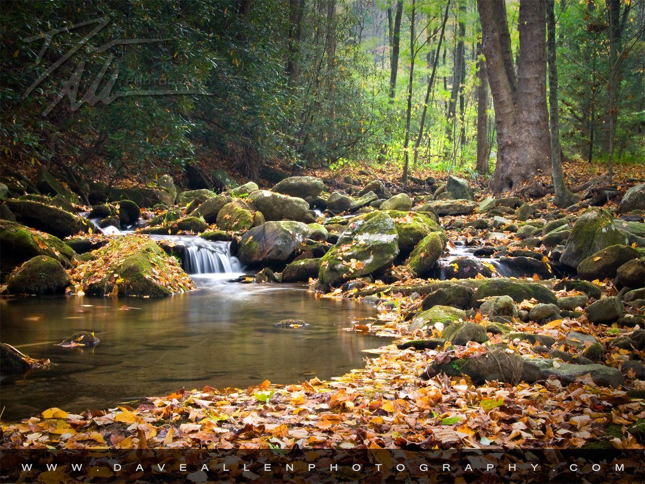 Early Autumn Wallpapers - Top Free Early Autumn Backgrounds ...