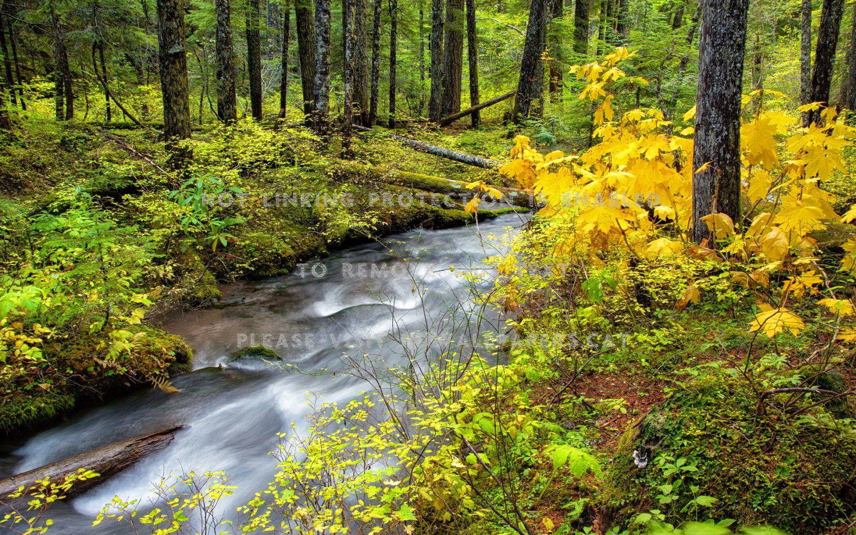 Early Autumn Nature Wallpapers - Top Free Early Autumn Nature ...