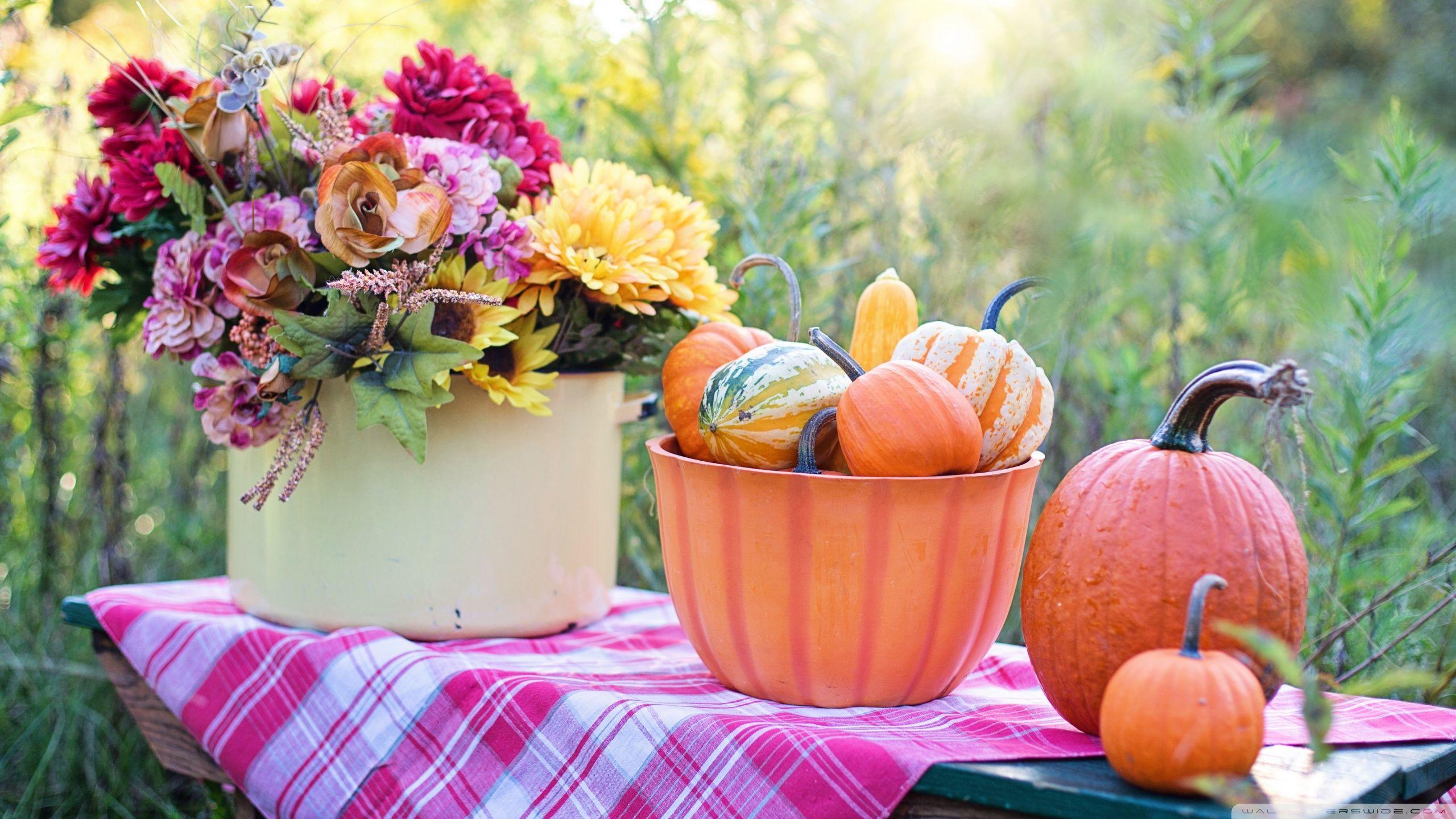 Early Autumn Nature Wallpapers - Top Free Early Autumn Nature ...