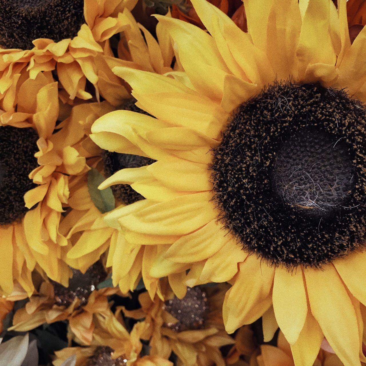 Girly Grunge Wallpapers - Top Free Girly Grunge Backgrounds ...