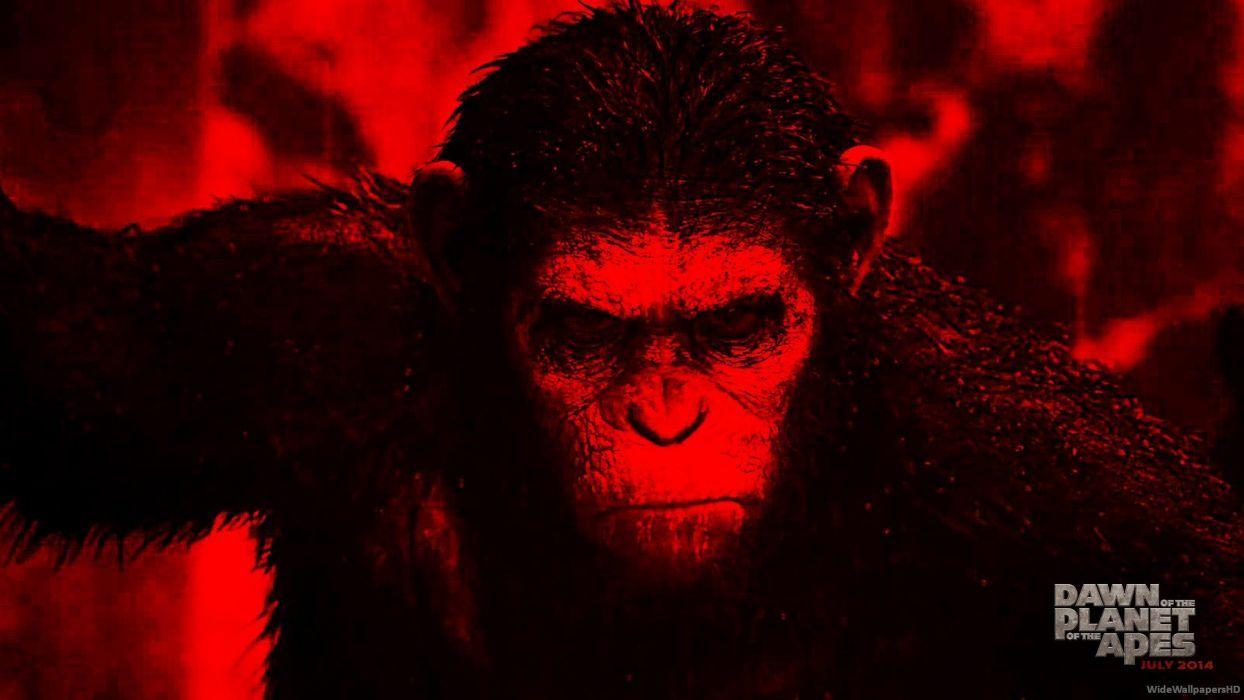 Red Monkey Wallpapers - Top Free Red Monkey Backgrounds - WallpaperAccess