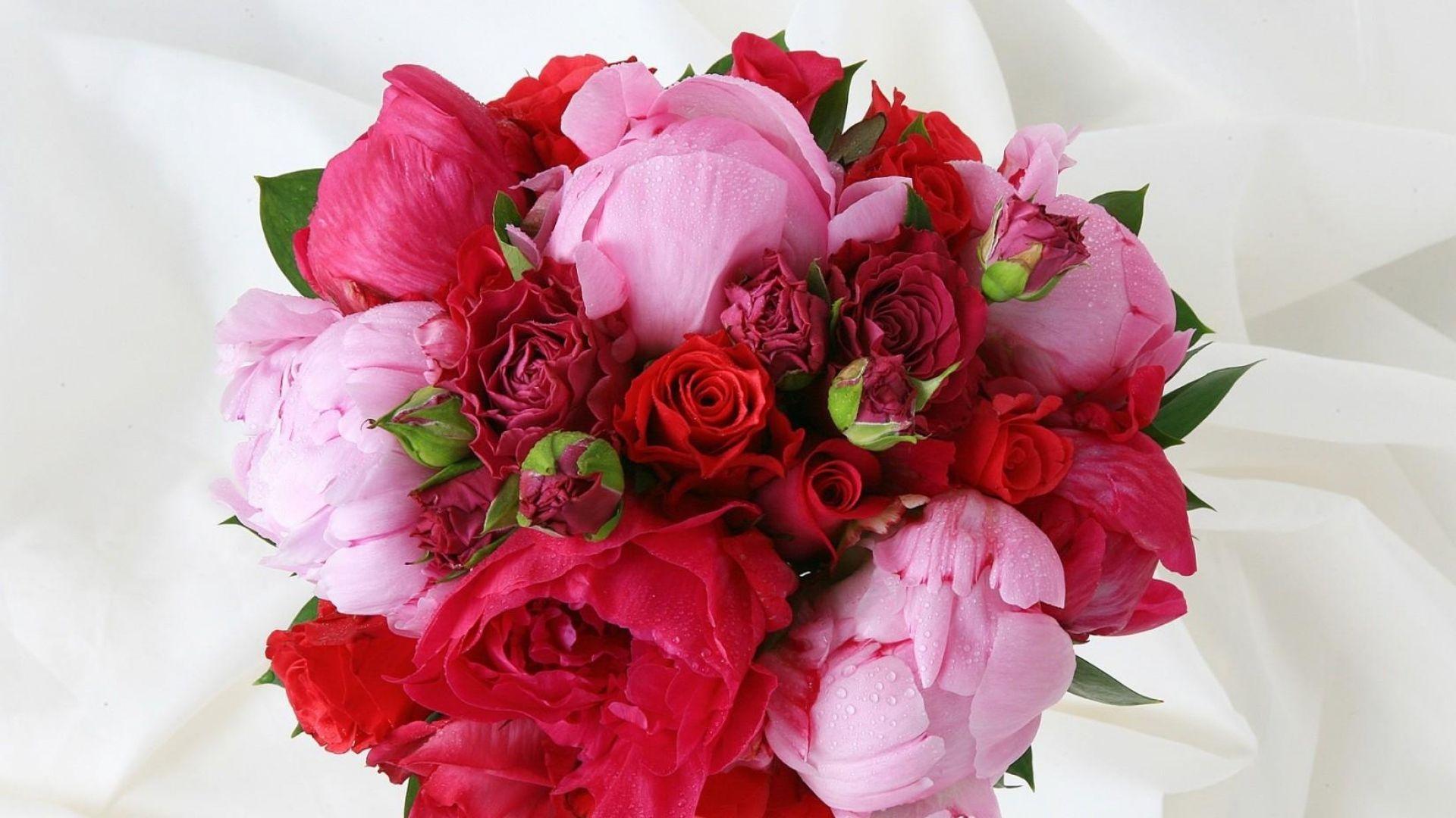 Peonies and Roses Wallpapers - Top Free Peonies and Roses Backgrounds ...