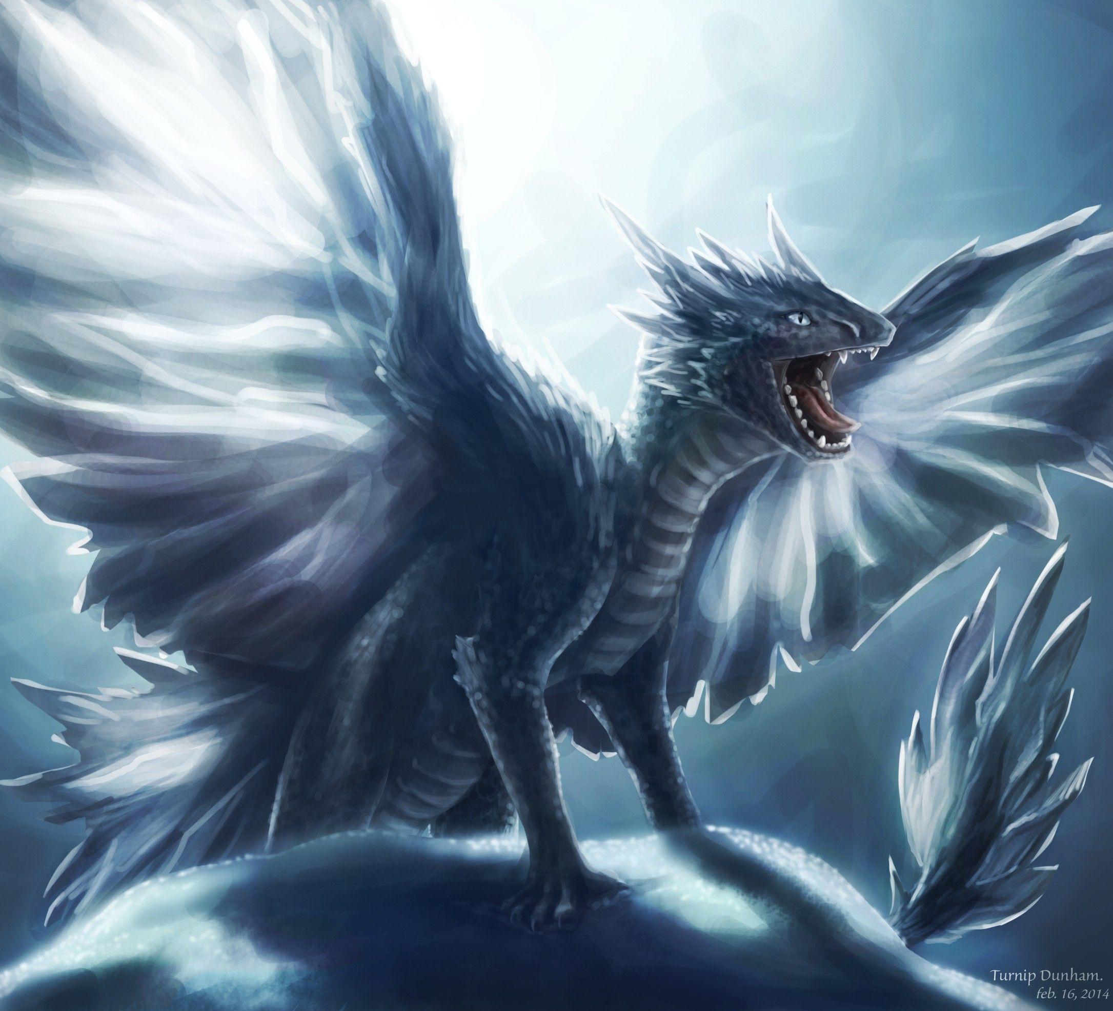 Winter Dragon Wallpapers - Top Free Winter Dragon Backgrounds ...