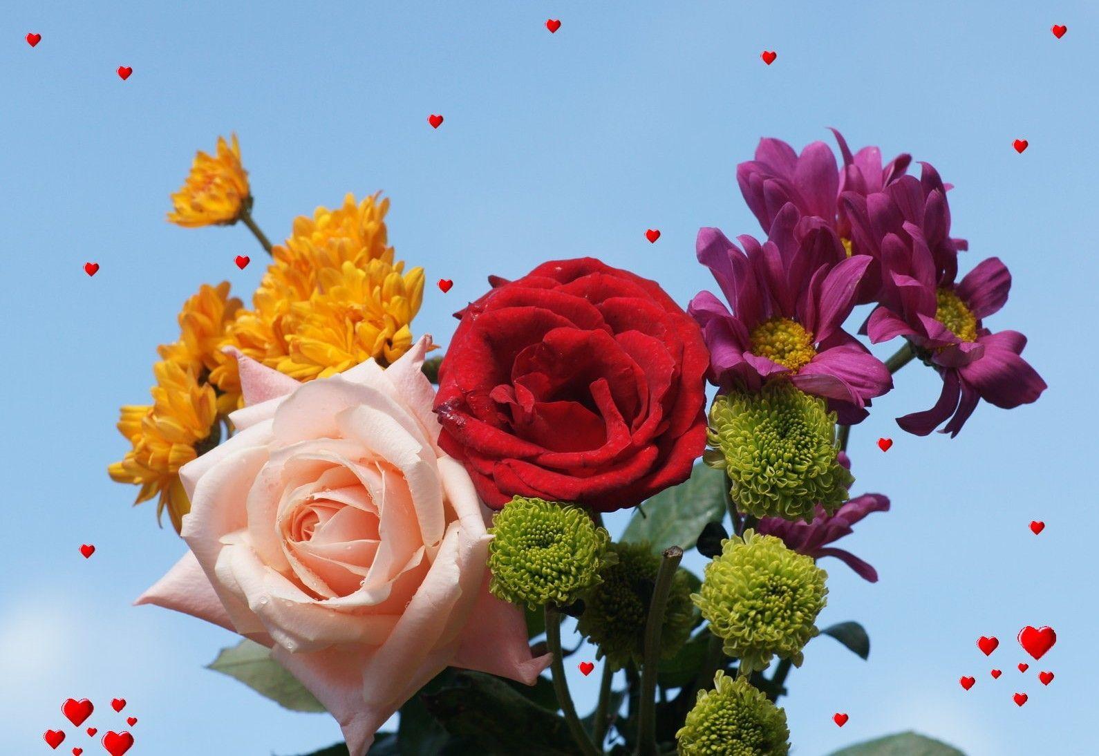 Dell Flower Wallpapers - Top Free Dell Flower Backgrounds - WallpaperAccess