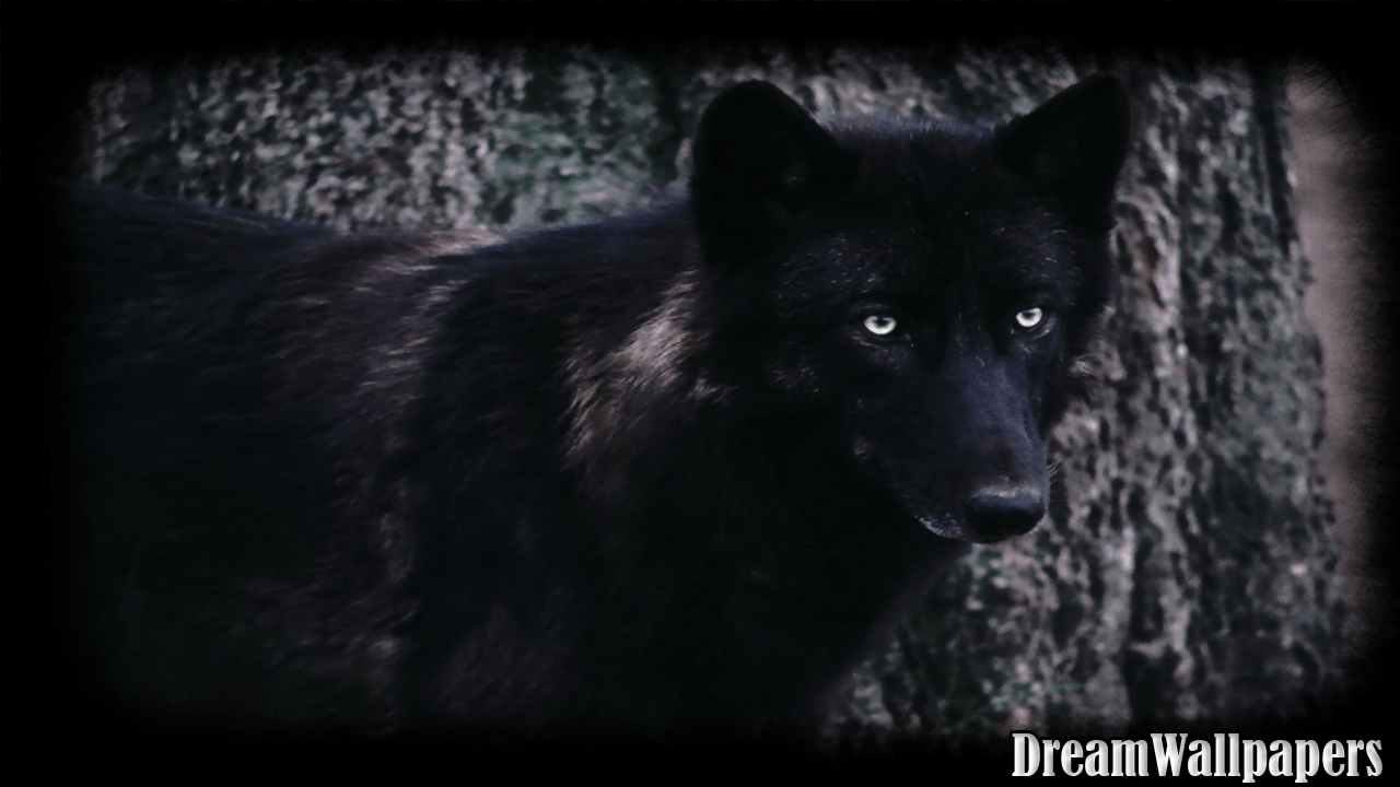 Techno Laptop Wallpapers - Top Free Techno Laptop Backgrounds - WallpaperAccess