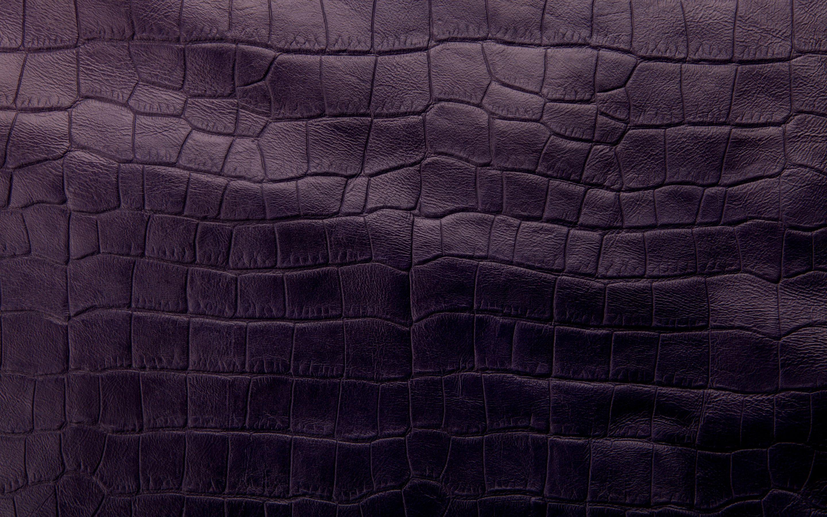 Crocodile Skin Wallpapers - Top Free Crocodile Skin Backgrounds ...