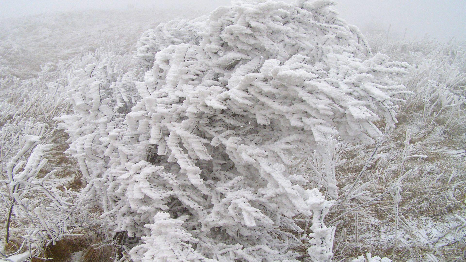 Snow Storm Wallpapers - Top Free Snow Storm Backgrounds - WallpaperAccess