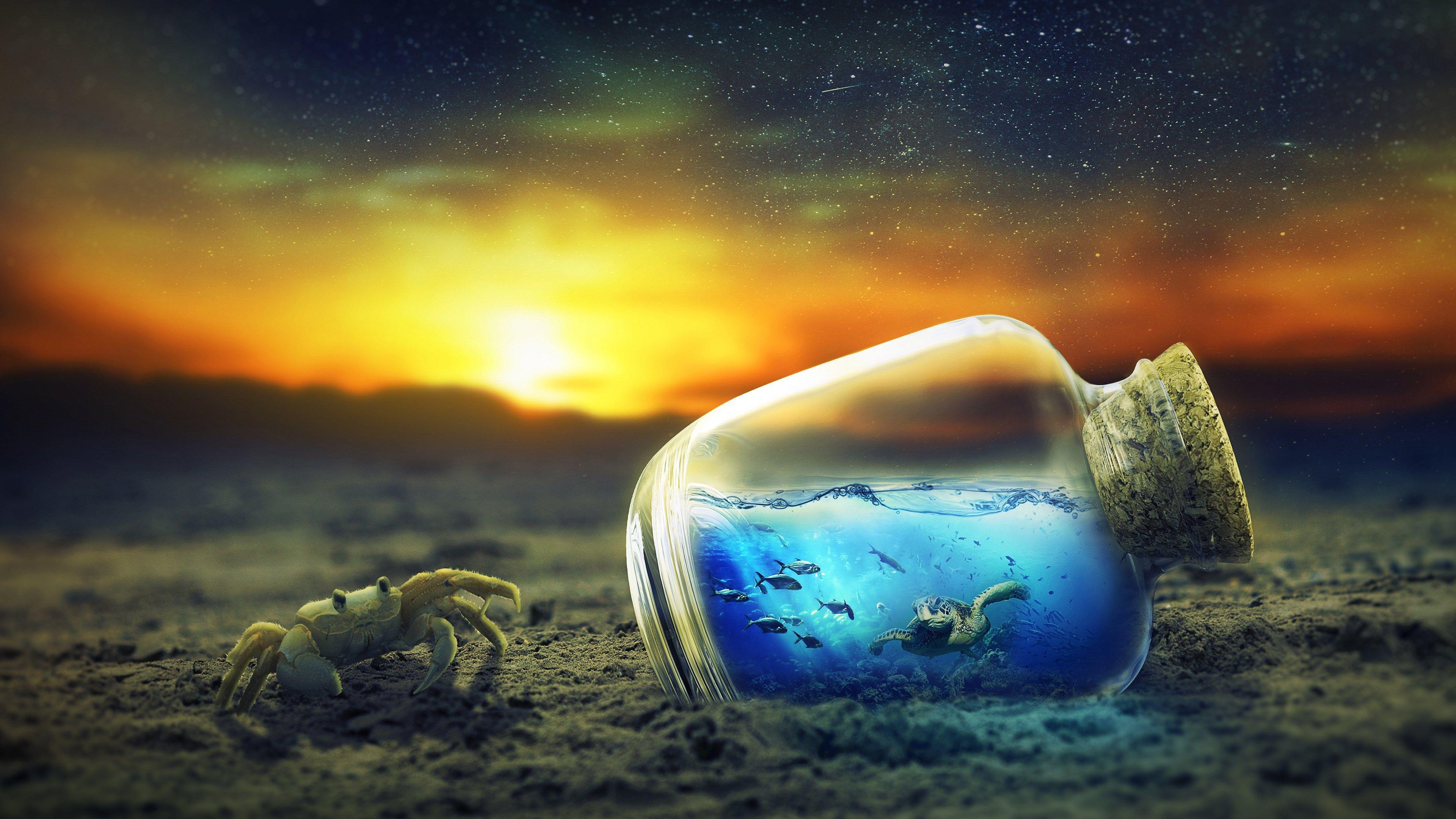 Crab Desktop Wallpapers - Top Free Crab Desktop Backgrounds ...