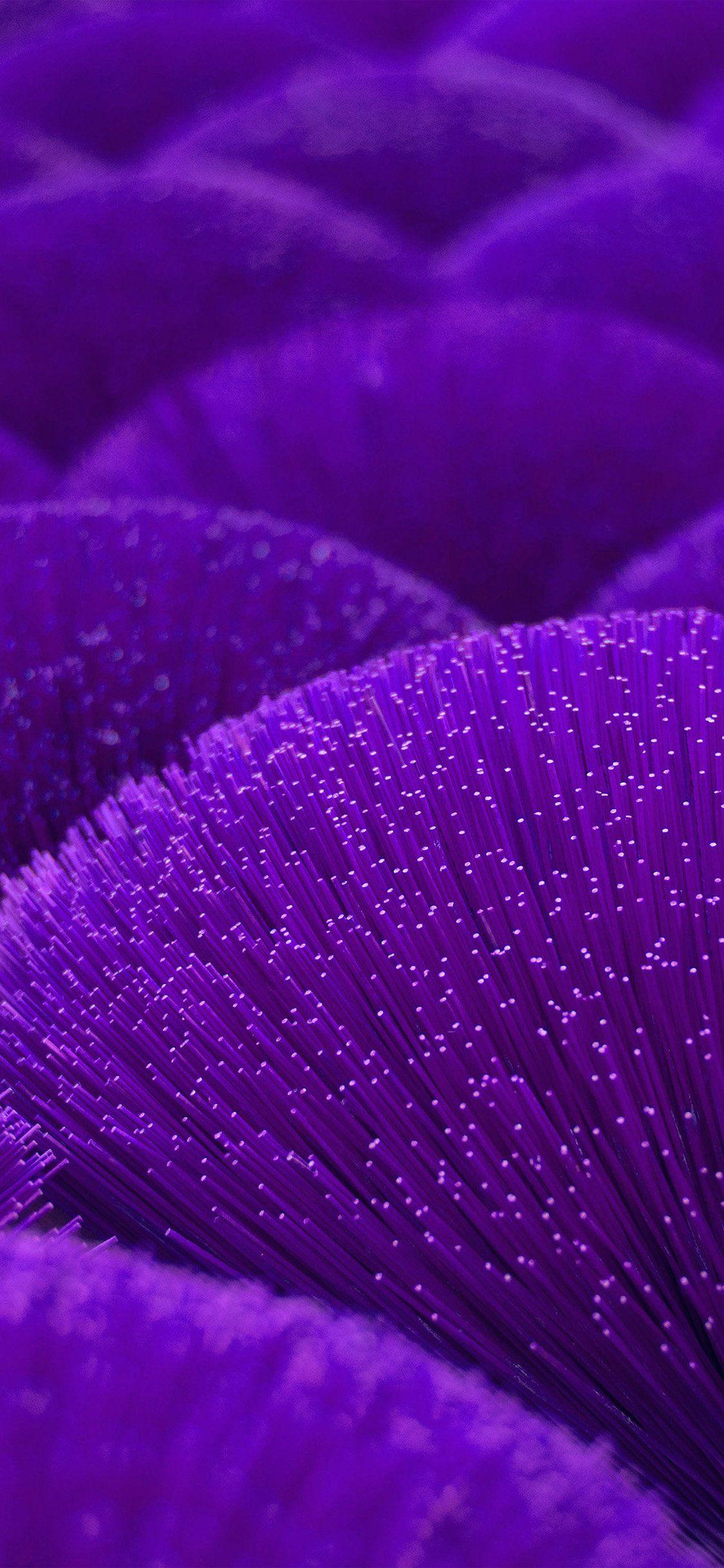 iPhone 12 Purple Wallpapers - Top Free iPhone 12 Purple Backgrounds ...