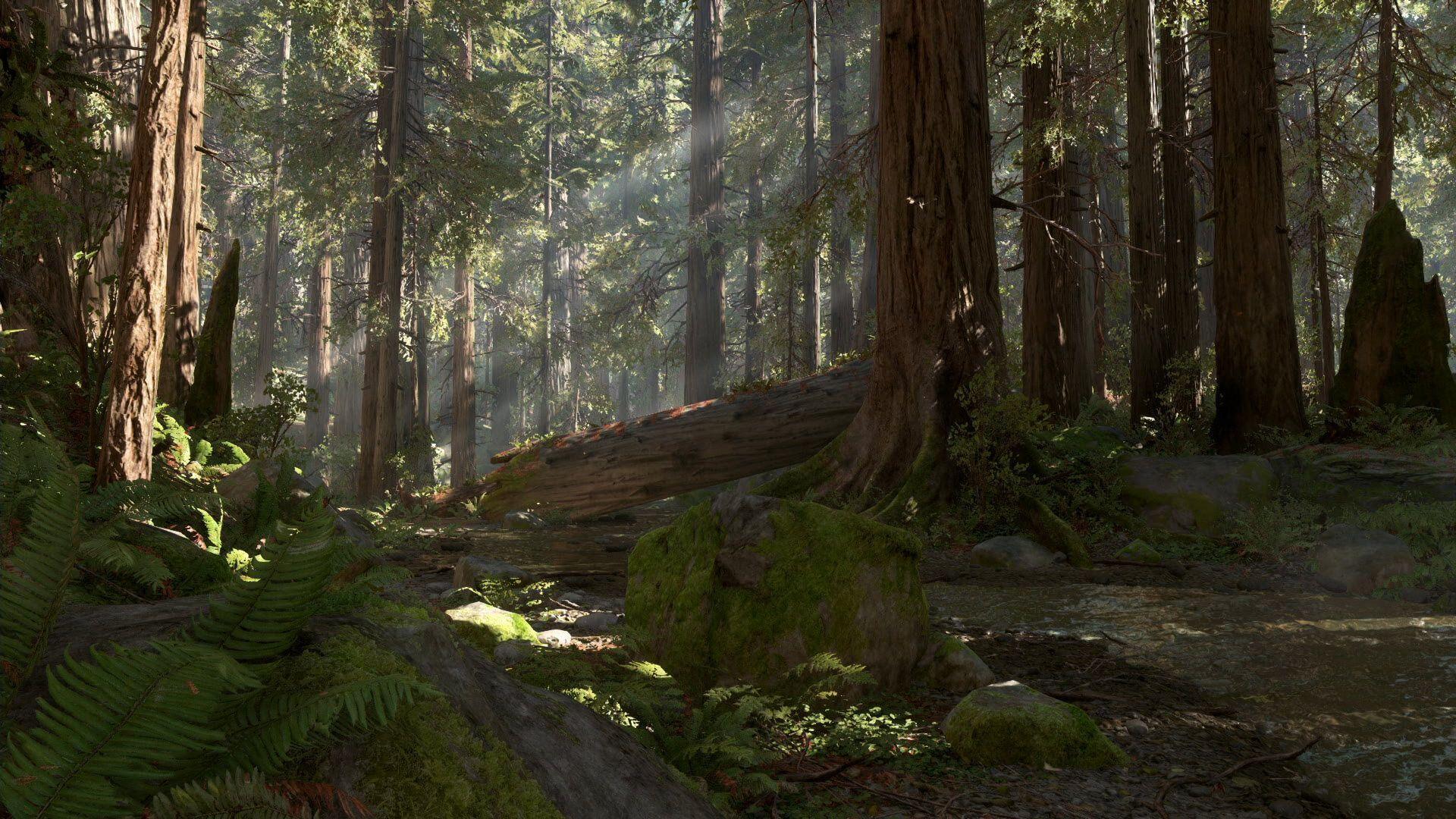 Endor Wallpapers - Top Free Endor Backgrounds - WallpaperAccess