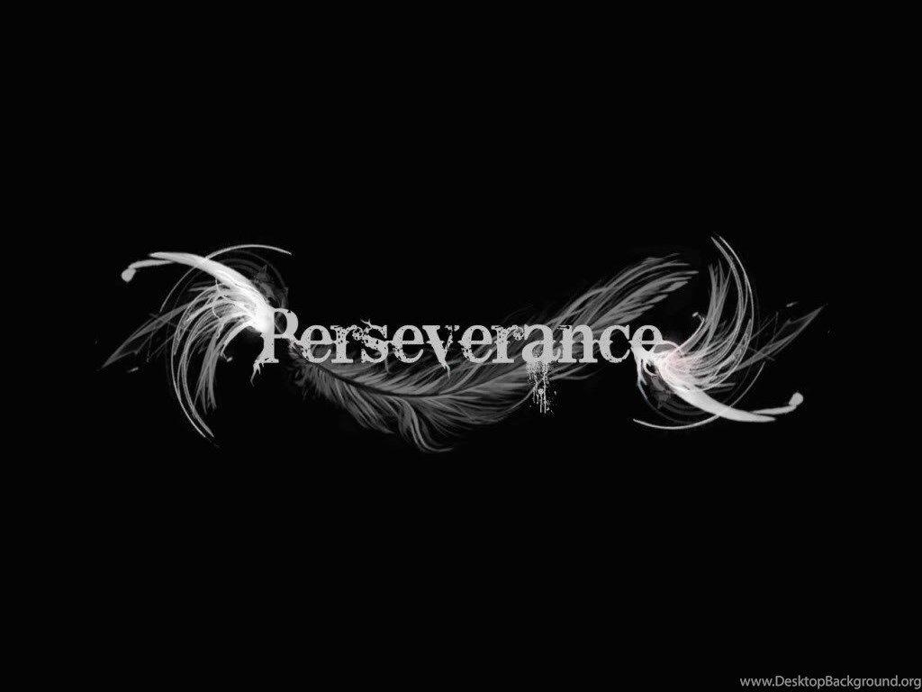 Perseverance Wallpapers - Top Free Perseverance Backgrounds ...