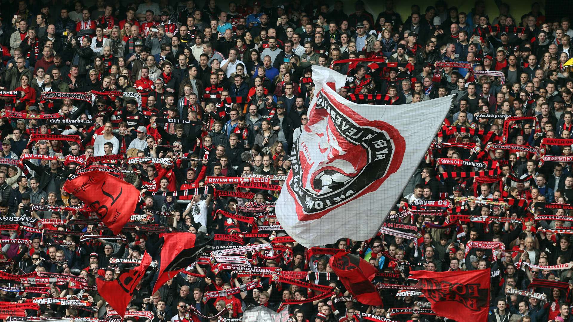 Bayer 04 Leverkusen Wallpapers - Top Free Bayer 04 Leverkusen ...