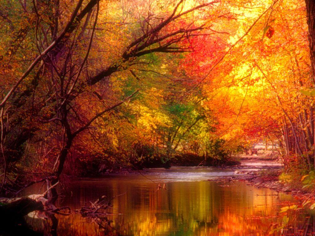 Seasons Wallpapers - Top Free Seasons Backgrounds - WallpaperAccess