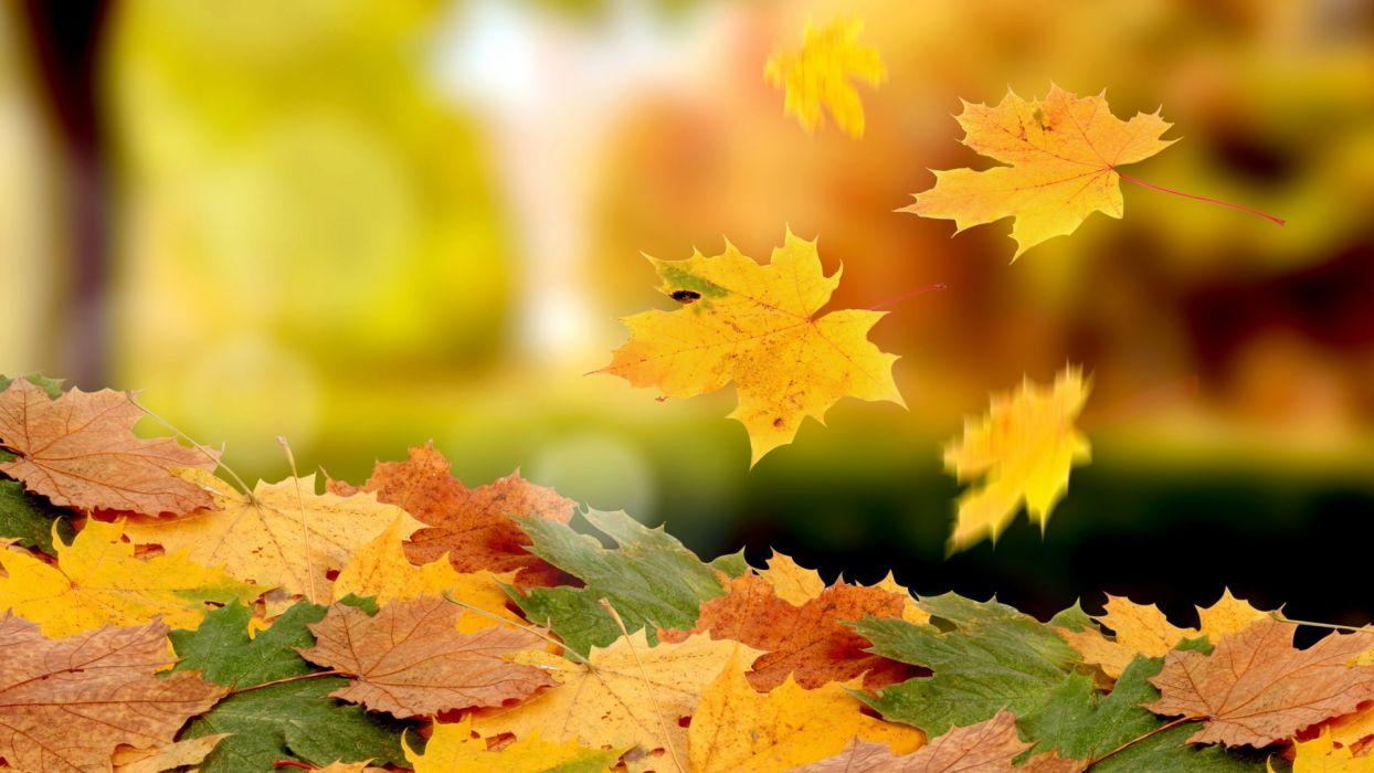 Seasons Wallpapers - Top Free Seasons Backgrounds - WallpaperAccess
