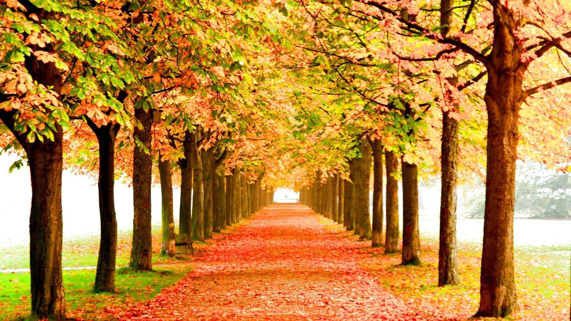 Seasons Wallpapers - Top Free Seasons Backgrounds - WallpaperAccess