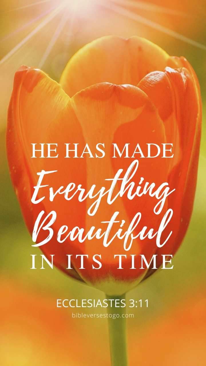 Beautiful Bible Verse Wallpapers - Top Free Beautiful Bible Verse ...