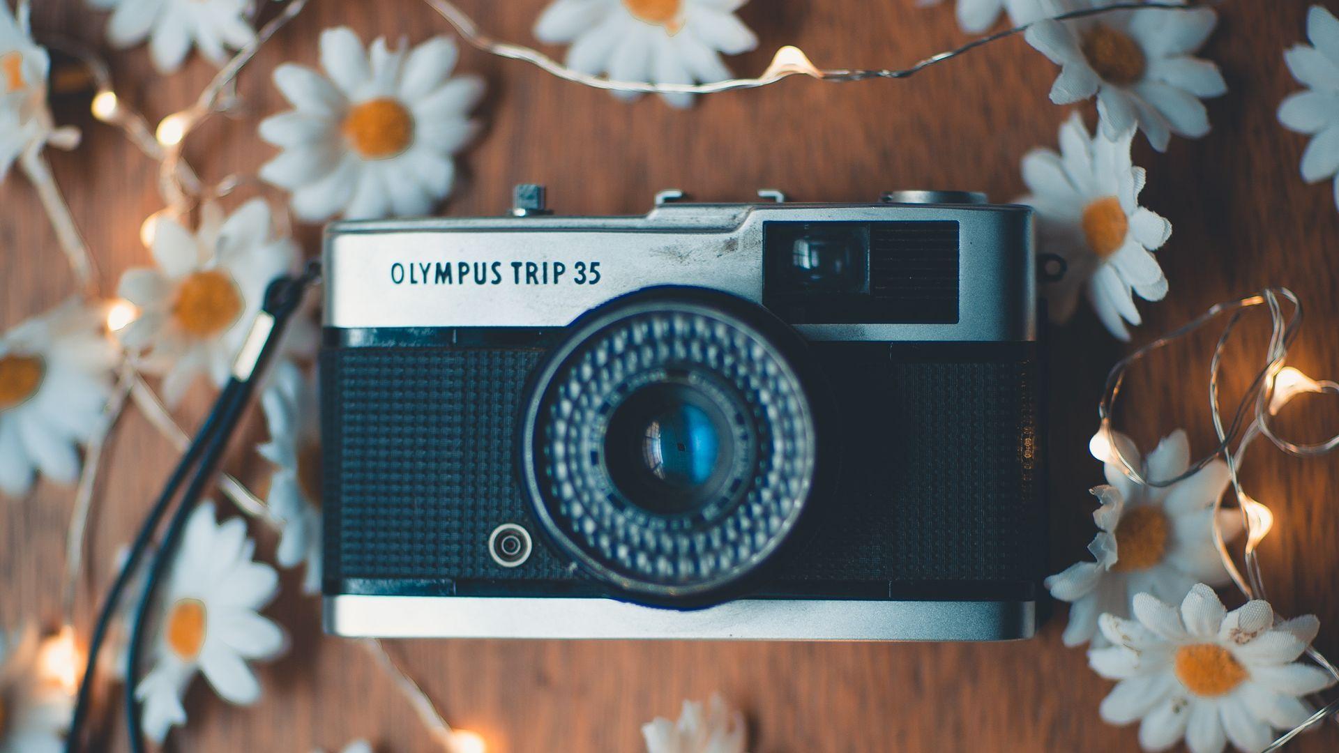 String Wallpapers - Top Free String Backgrounds - WallpaperAccess