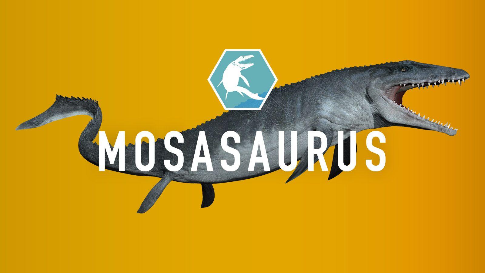 Mosasaur Wallpapers - Top Free Mosasaur Backgrounds - WallpaperAccess