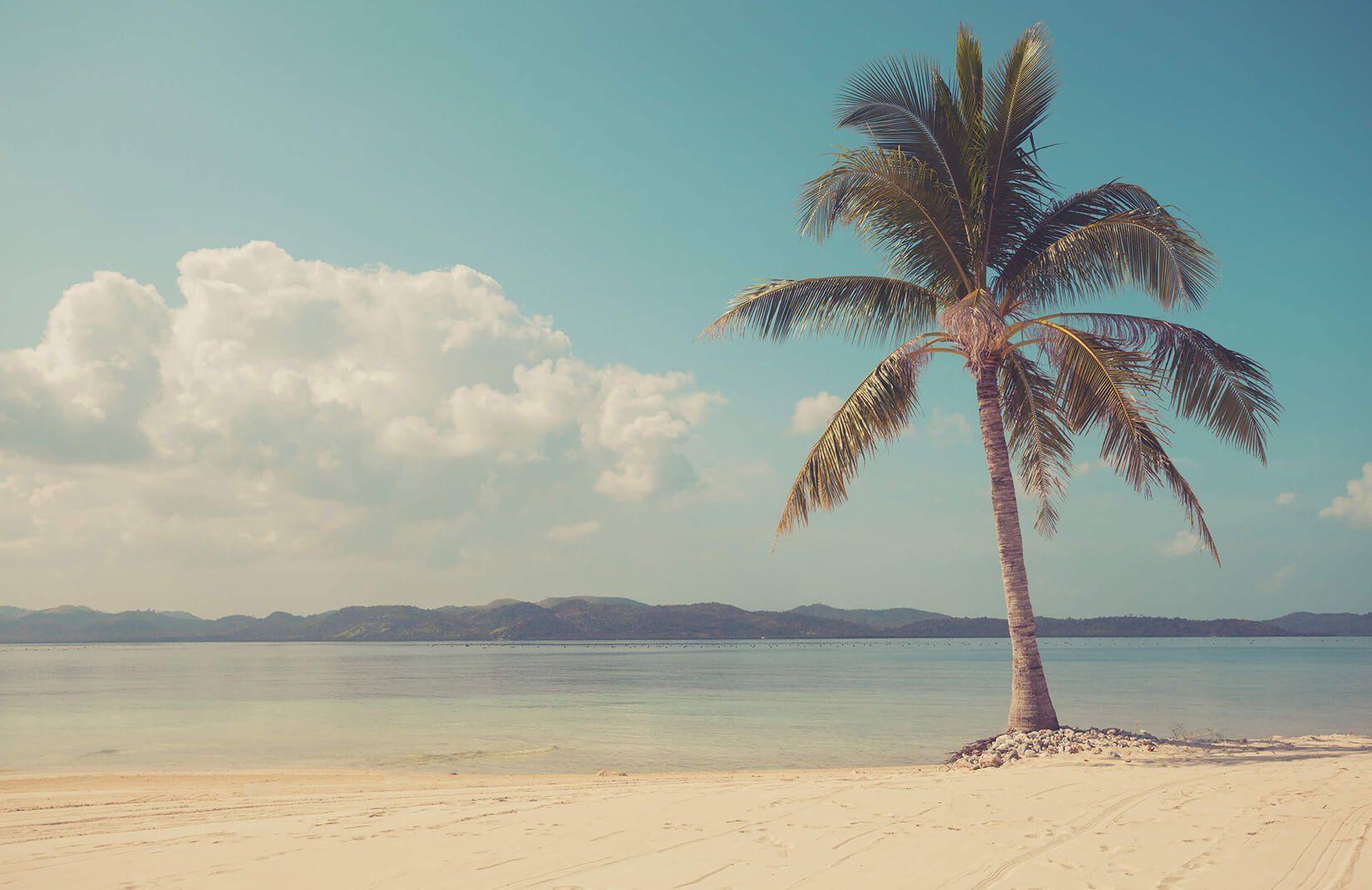 Vintage Tropical Wallpapers - Top Free Vintage Tropical Backgrounds ...