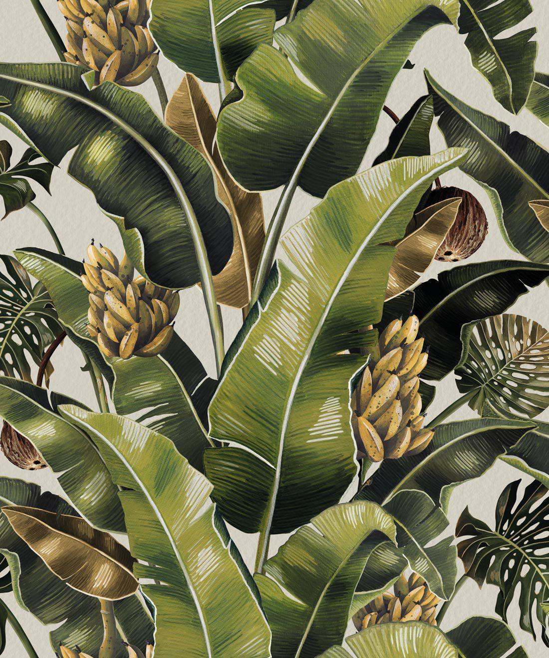 Vintage Tropical Wallpapers - Top Free Vintage Tropical Backgrounds ...