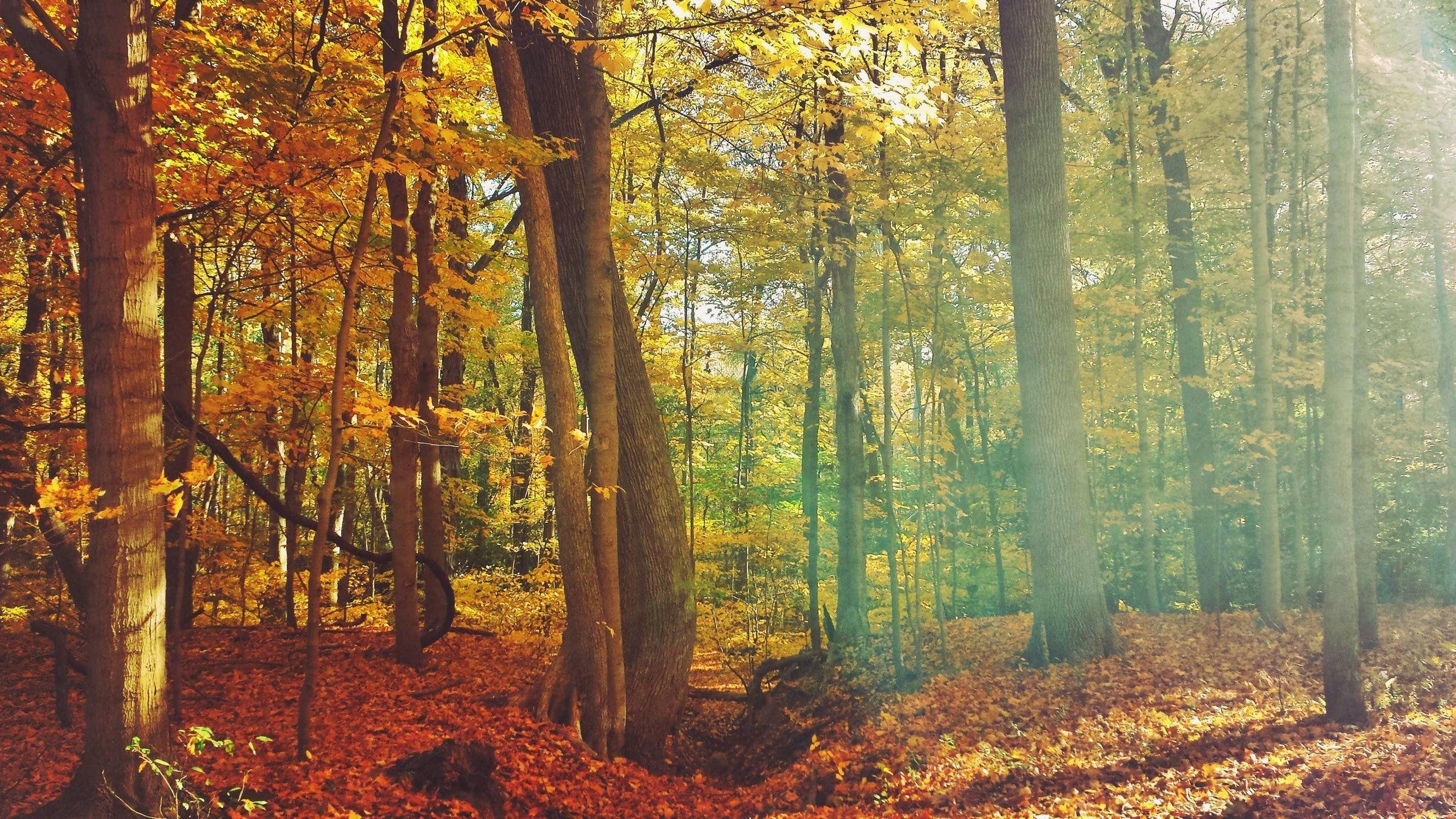 Midwest Wallpapers - Top Free Midwest Backgrounds - WallpaperAccess