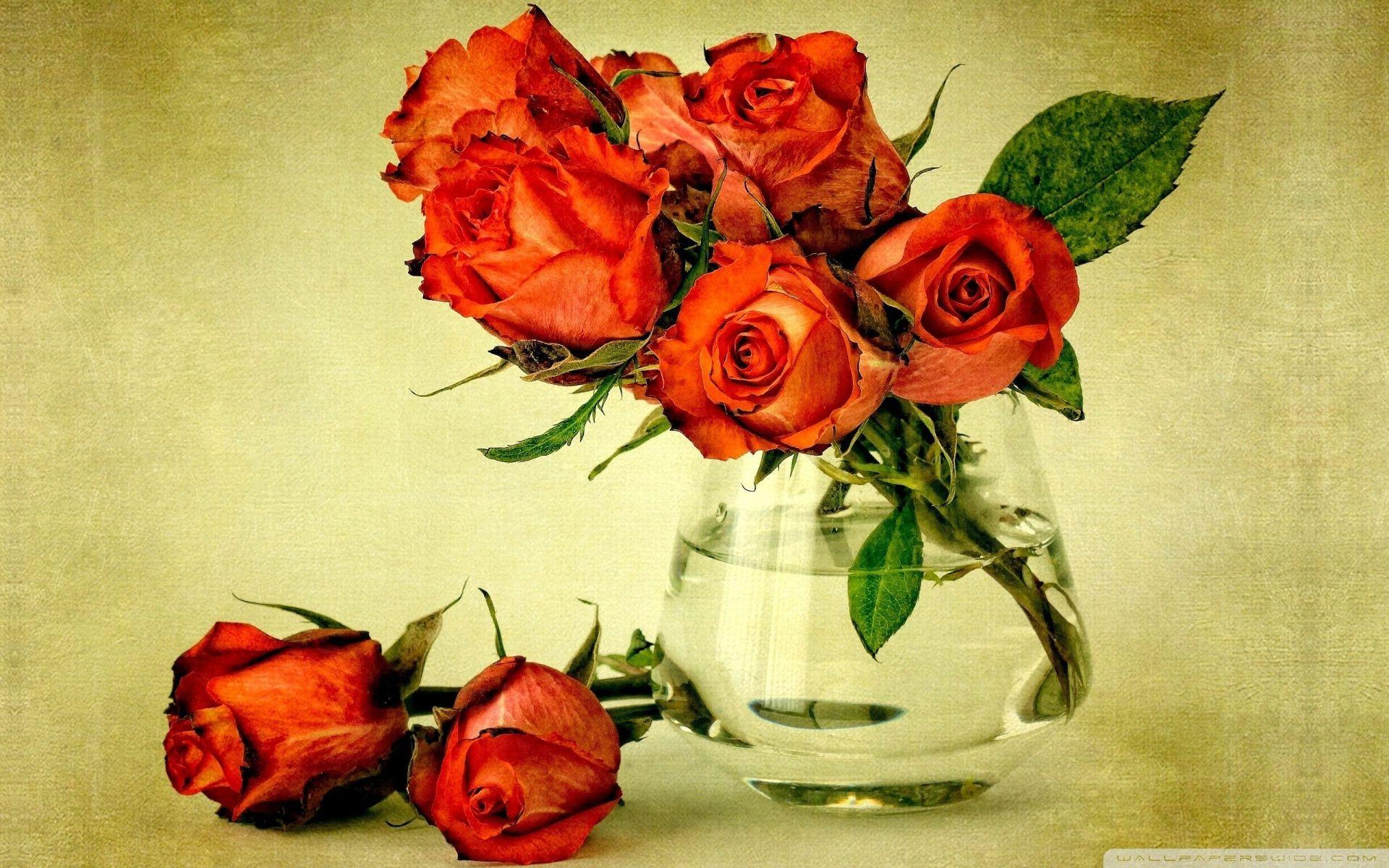 Beautiful Rose Desktop Wallpapers - Top Free Beautiful Rose Desktop ...