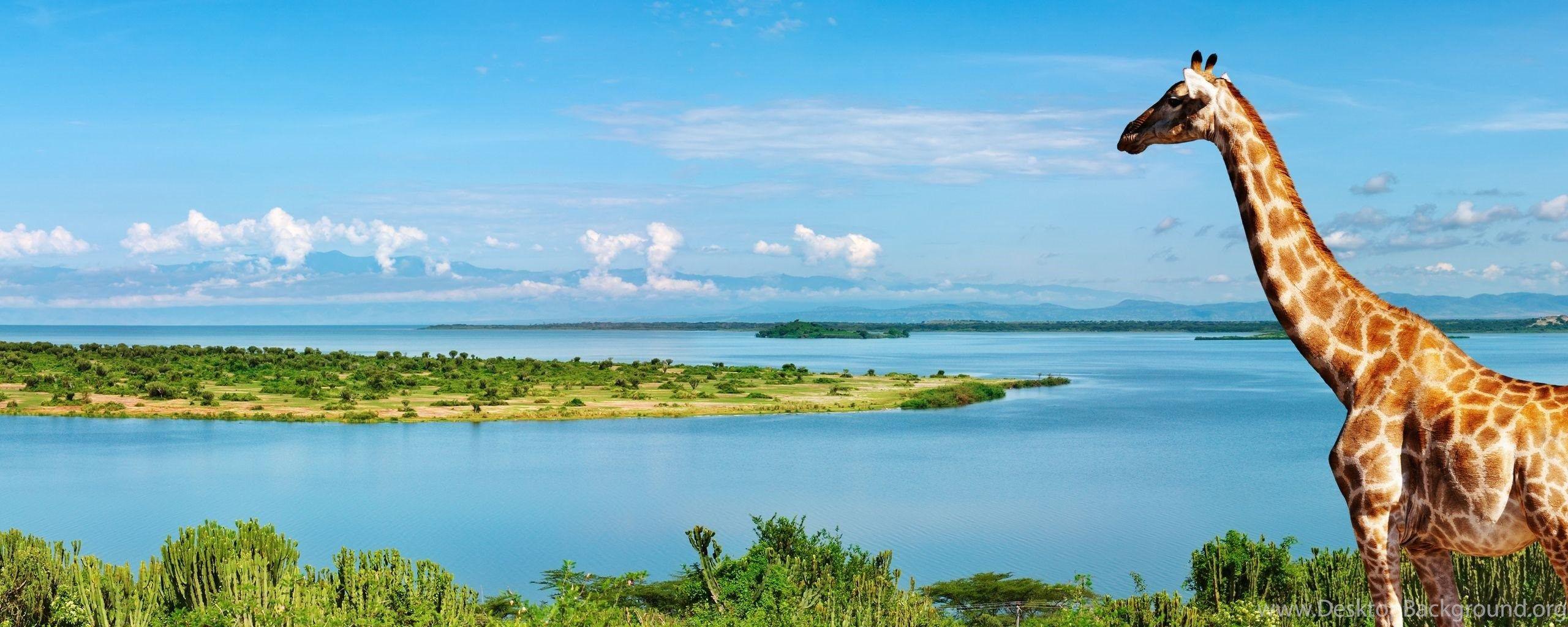 Nile River HD Wallpapers - Top Free Nile River HD Backgrounds ...