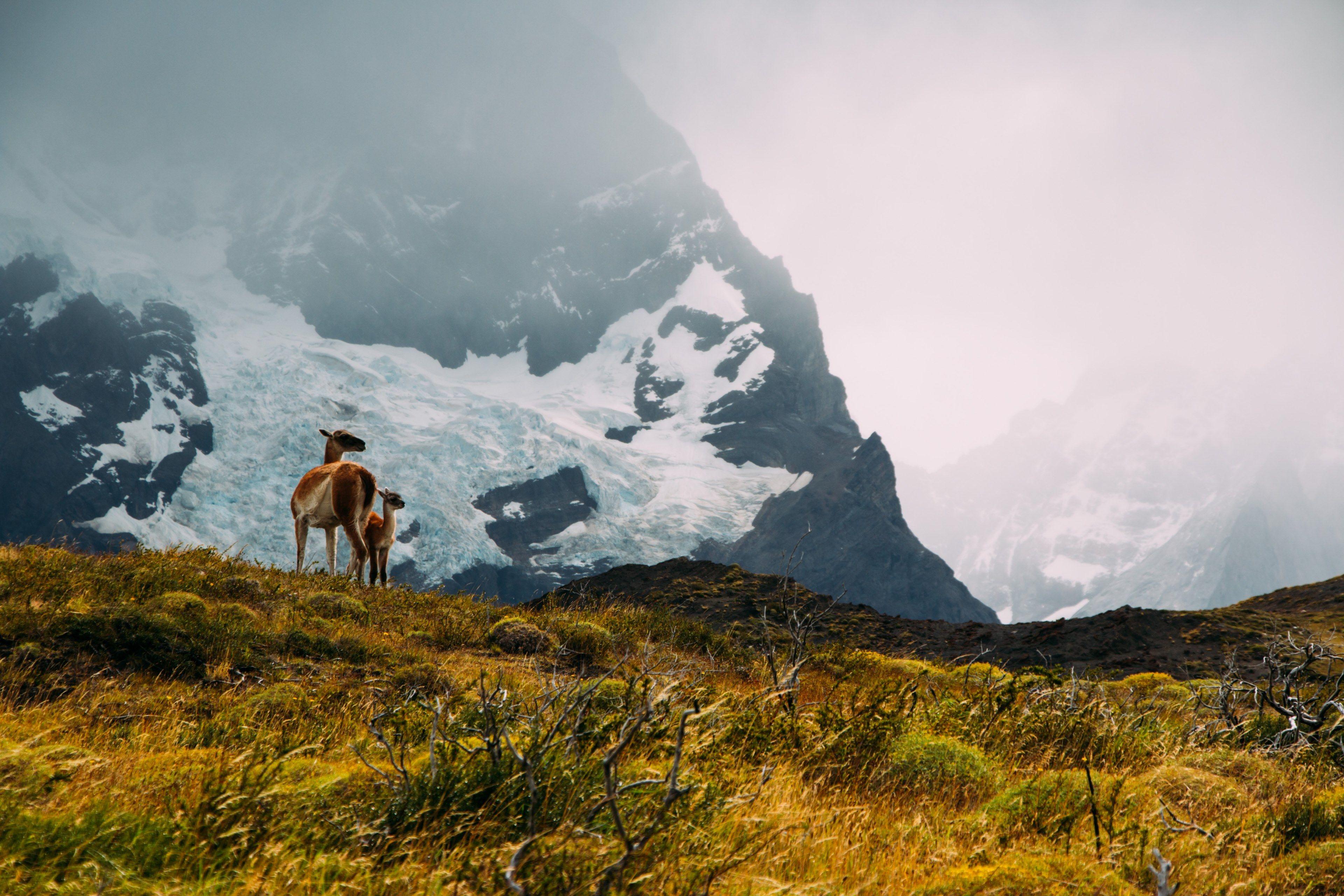 Patagonia 4K Wallpapers - Top Free Patagonia 4K Backgrounds ...