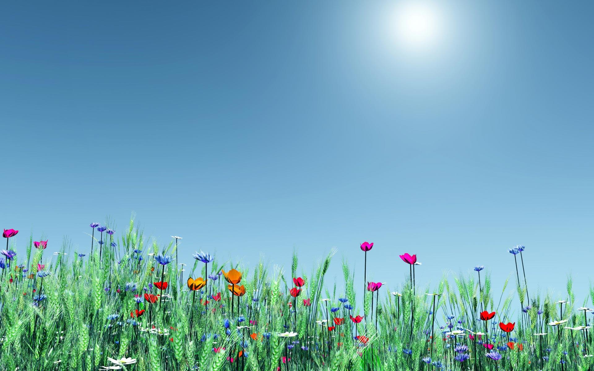Simple Spring Desktop Wallpapers - Top Free Simple Spring Desktop ...