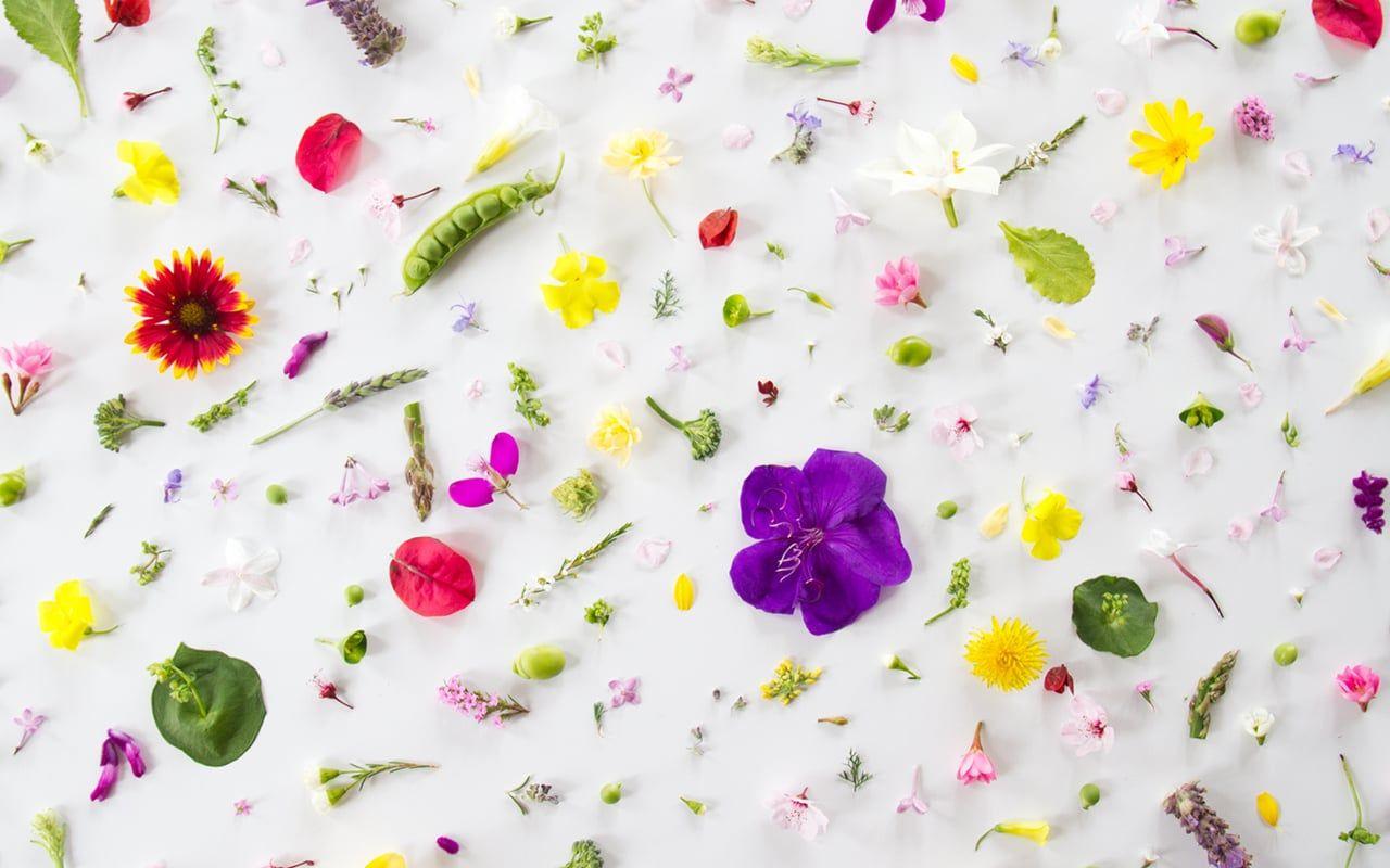 Simple Spring Desktop Wallpapers - Top Free Simple Spring Desktop ...