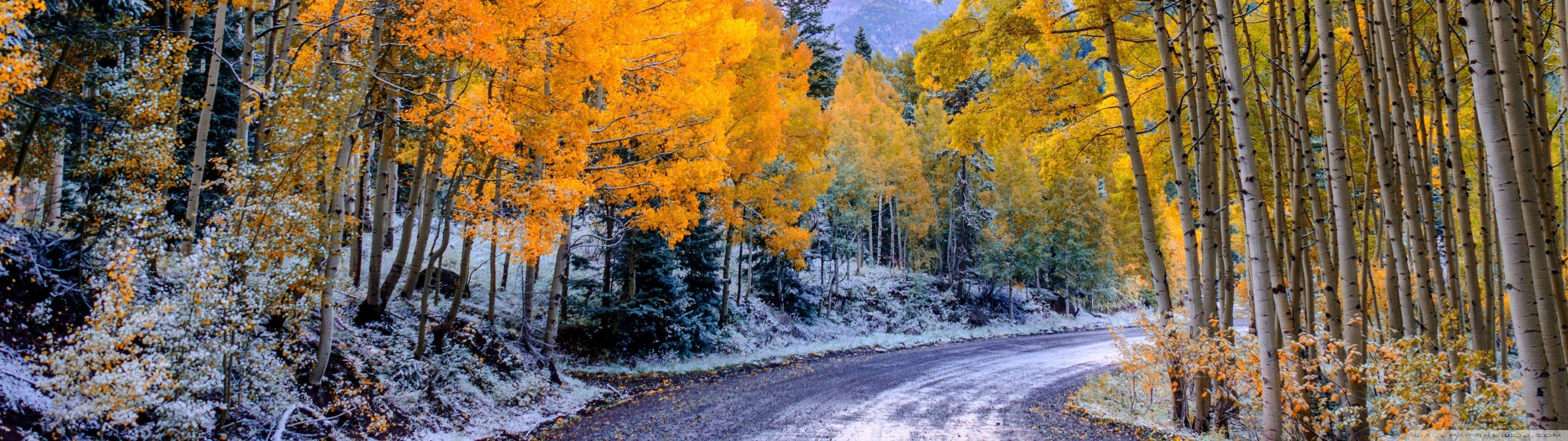 3840 X 1080 Autumn Wallpapers - Top Free 3840 X 1080 Autumn Backgrounds ...