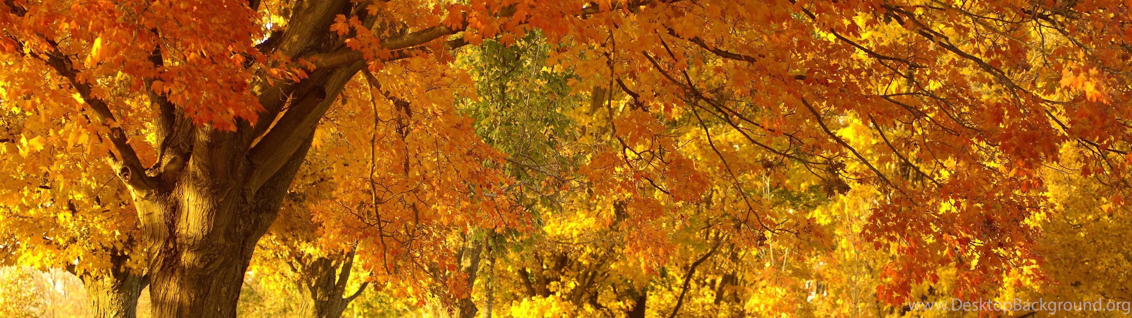 3840 X 1080 Autumn Wallpapers - Top Free 3840 X 1080 Autumn Backgrounds ...