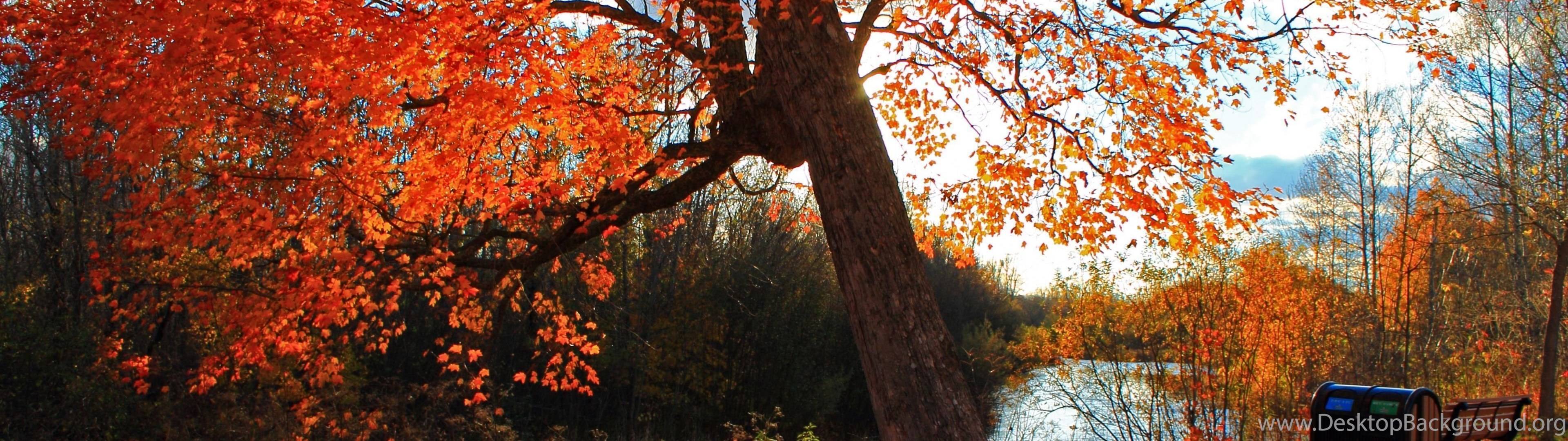 3840 X 1080 Autumn Wallpapers - Top Free 3840 X 1080 Autumn Backgrounds ...