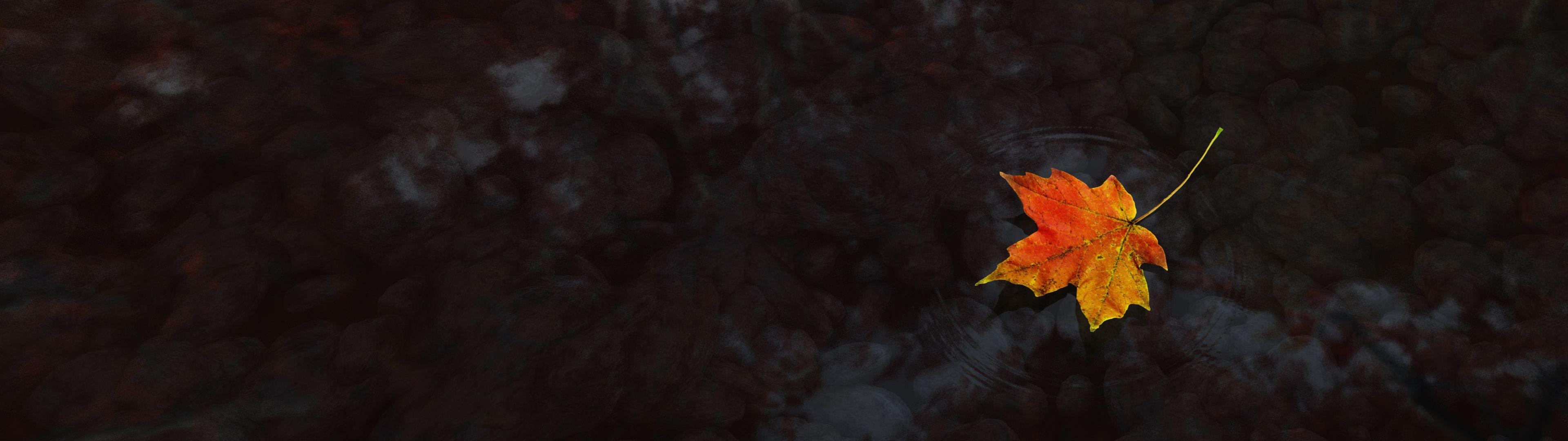 3840 X 1080 Autumn Wallpapers - Top Free 3840 X 1080 Autumn Backgrounds ...