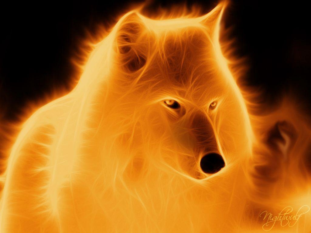 HD Fire Wolf Wallpapers - Top Free HD Fire Wolf Backgrounds ...