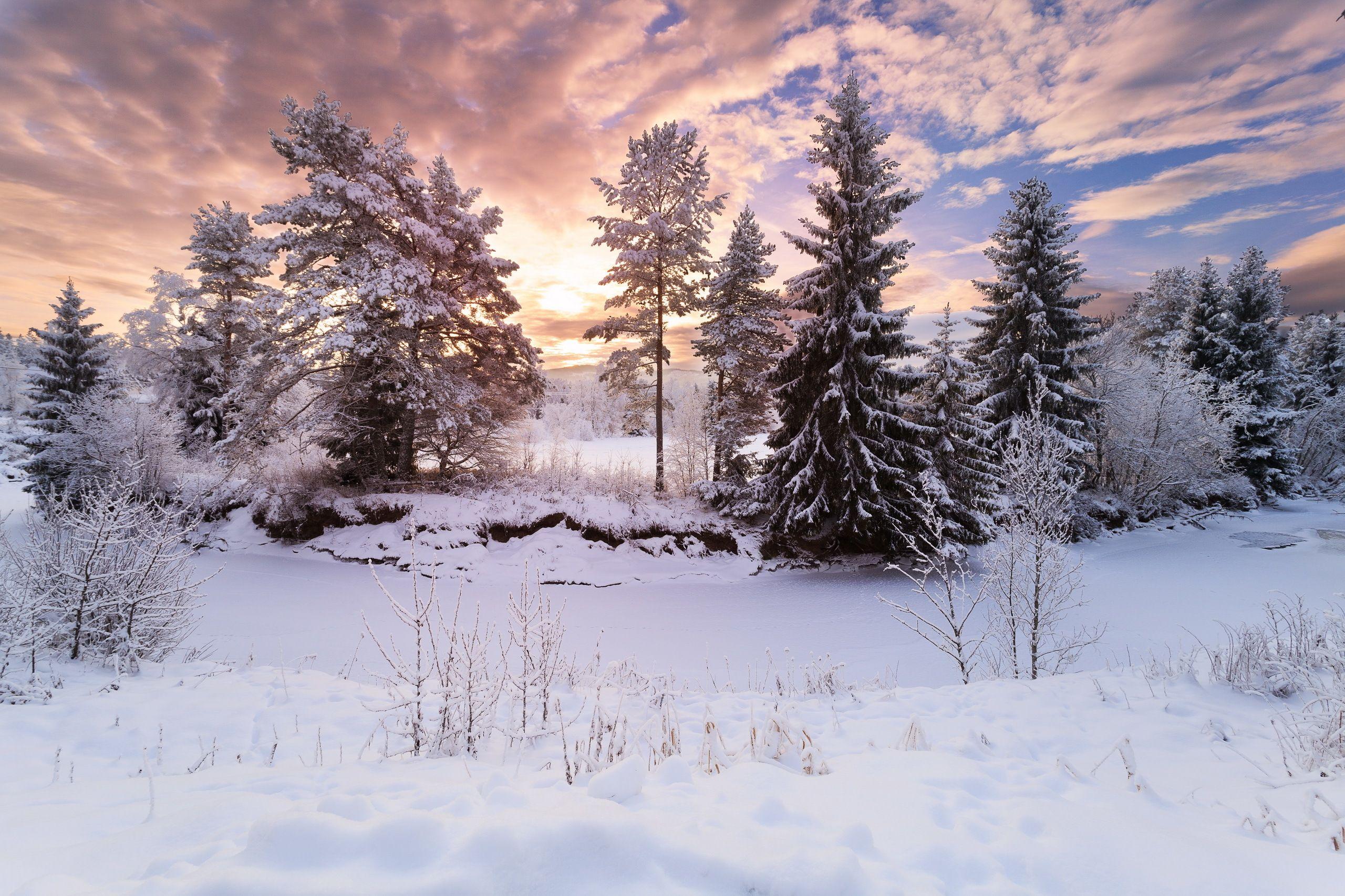 Winter Day Wallpapers - Top Free Winter Day Backgrounds - WallpaperAccess