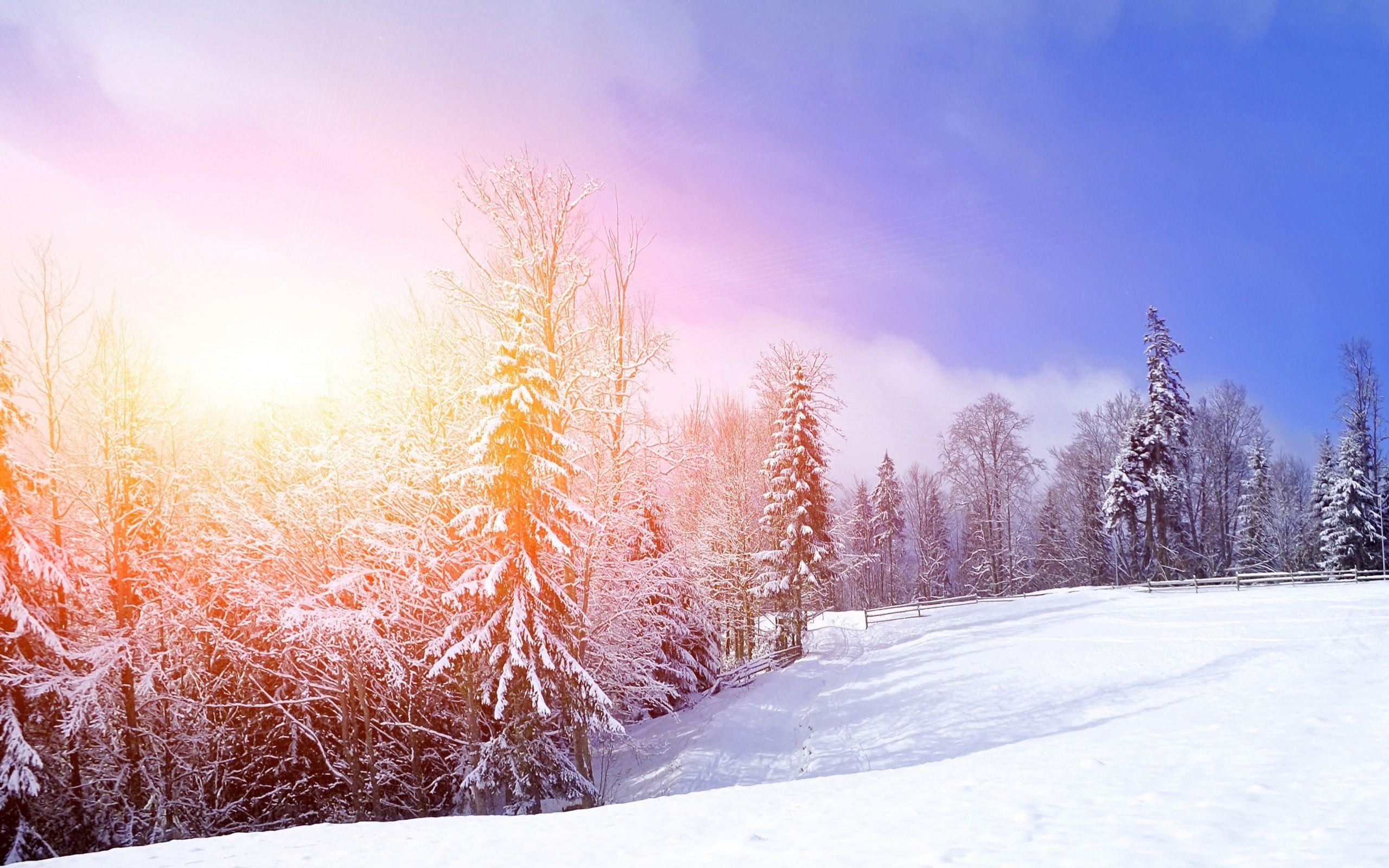 Winter Day Wallpapers - Top Free Winter Day Backgrounds - WallpaperAccess