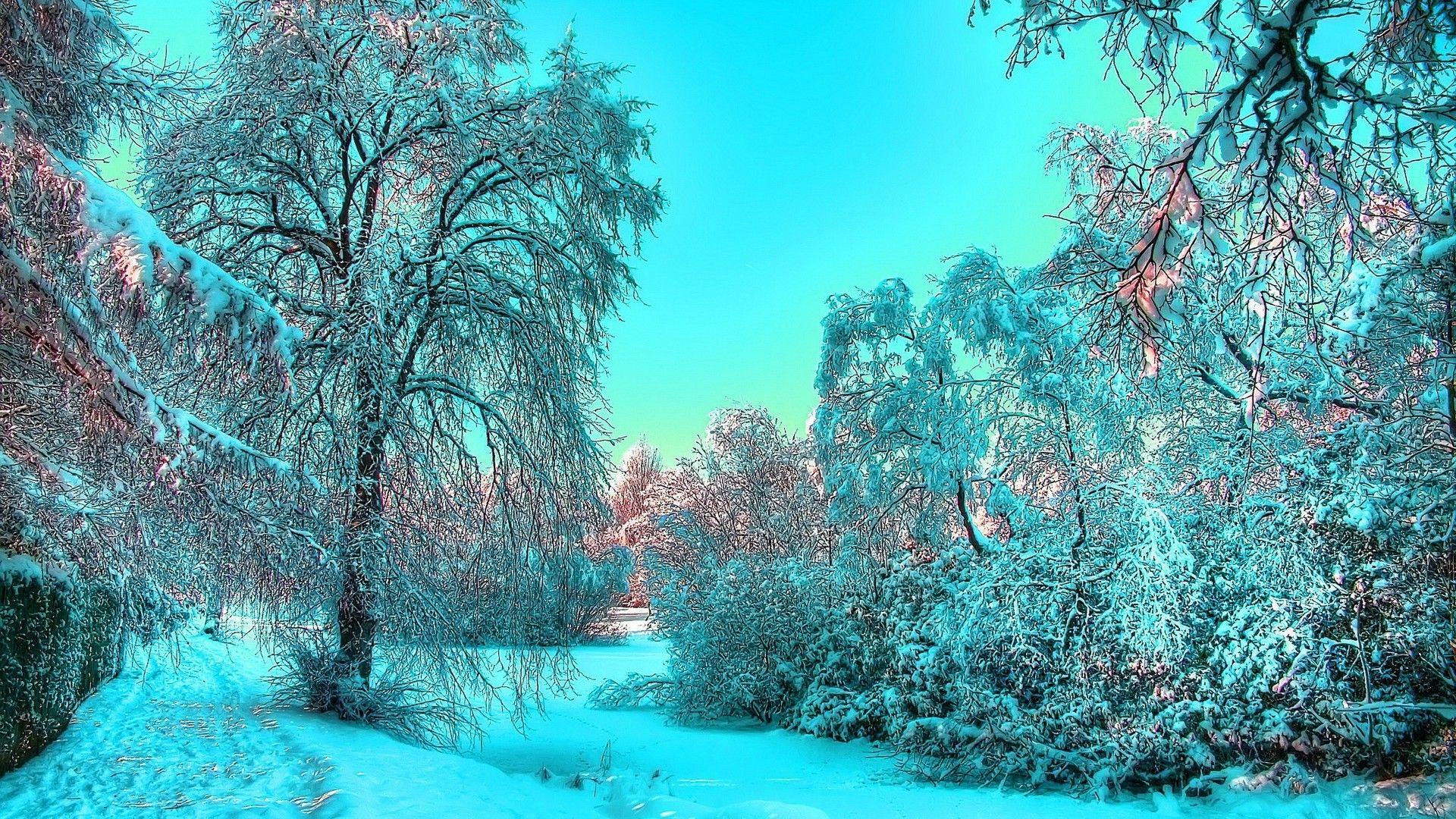 Winter Day Wallpapers - Top Free Winter Day Backgrounds - WallpaperAccess