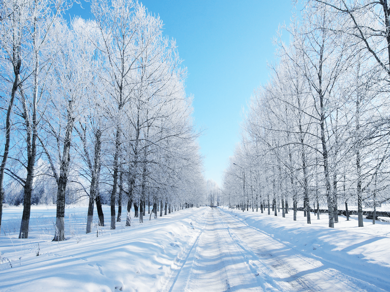 Winter Day Wallpapers - Top Free Winter Day Backgrounds - WallpaperAccess