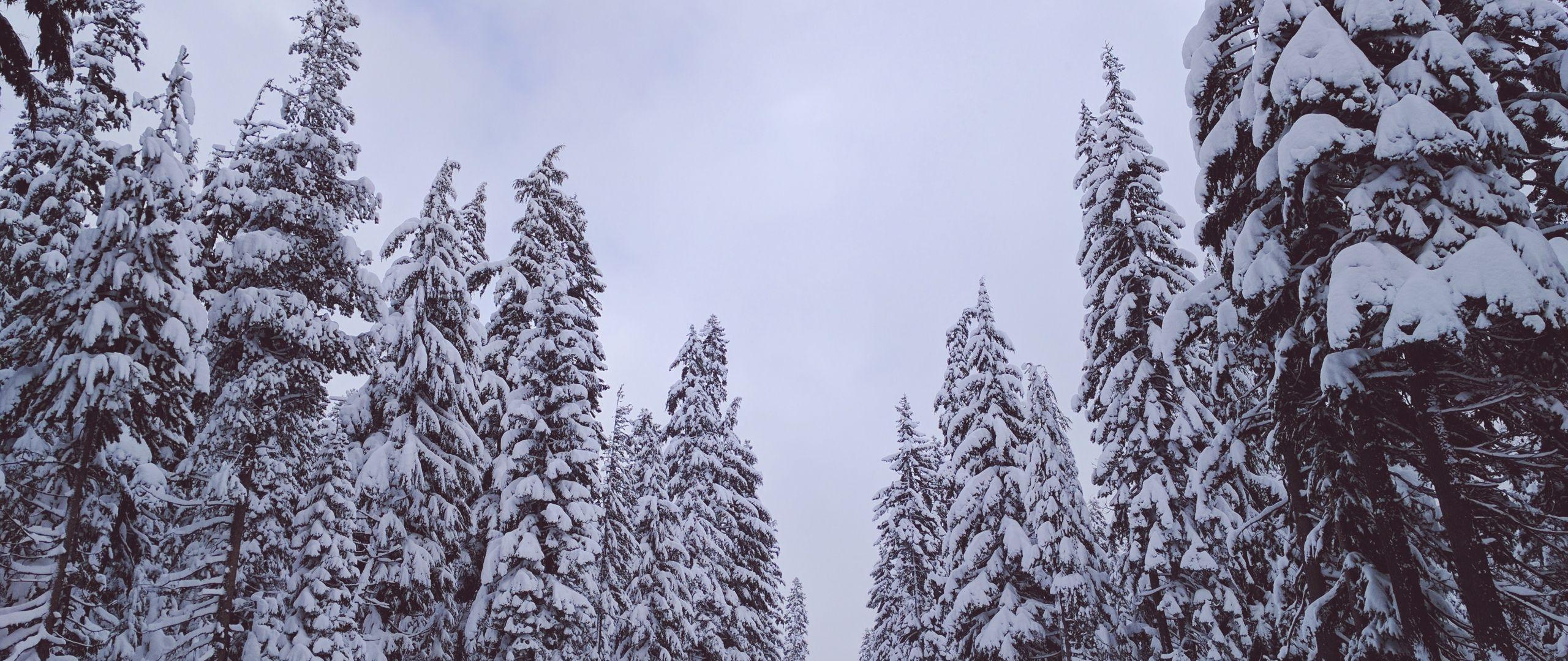 Winter Day Wallpapers - Top Free Winter Day Backgrounds - WallpaperAccess