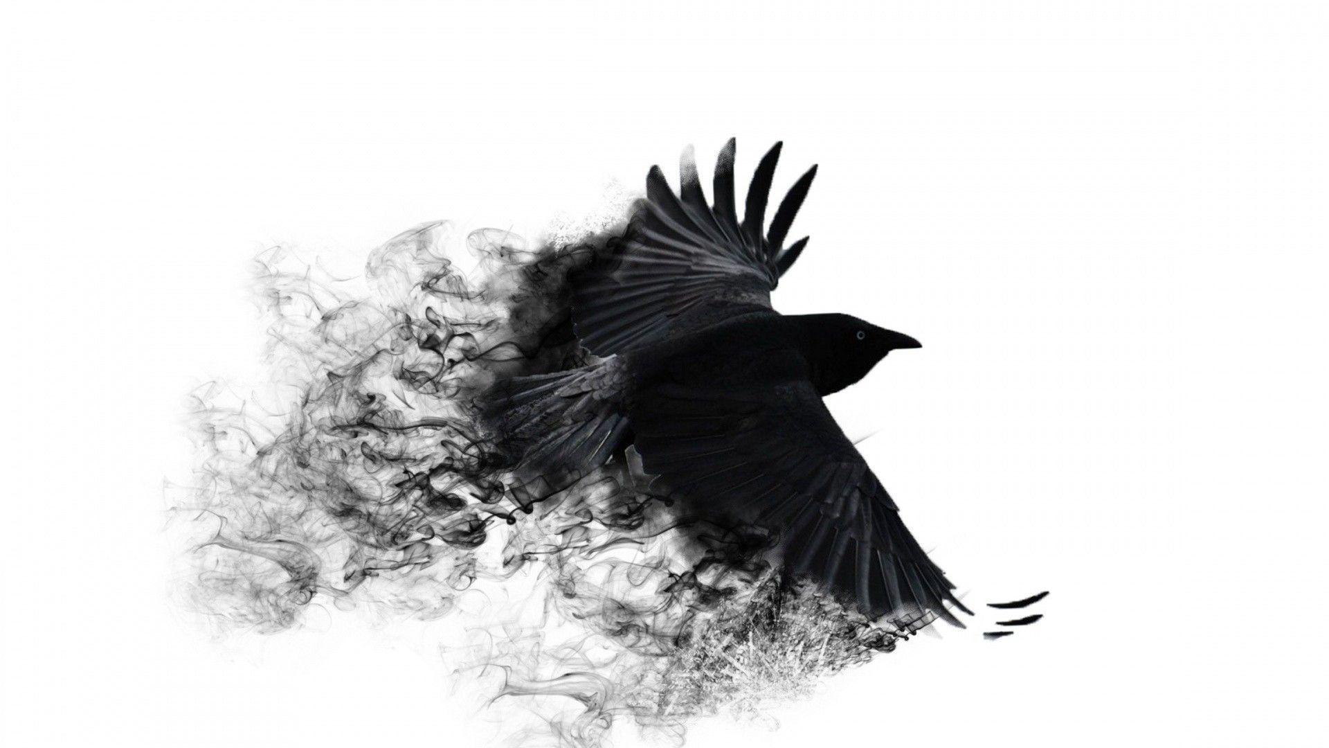 Black Raven Wallpapers - Top Free Black Raven Backgrounds - WallpaperAccess