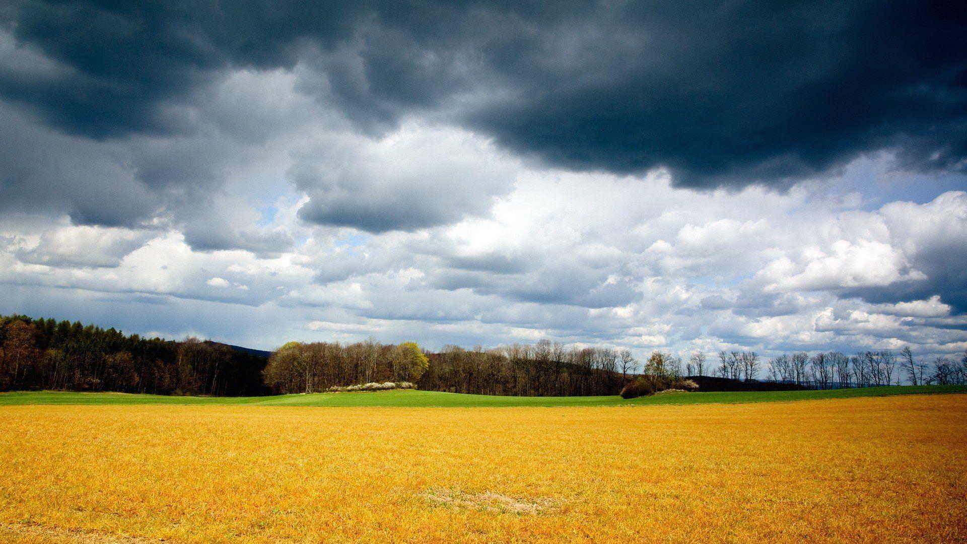 Forest Ground Wallpapers - Top Free Forest Ground Backgrounds ...