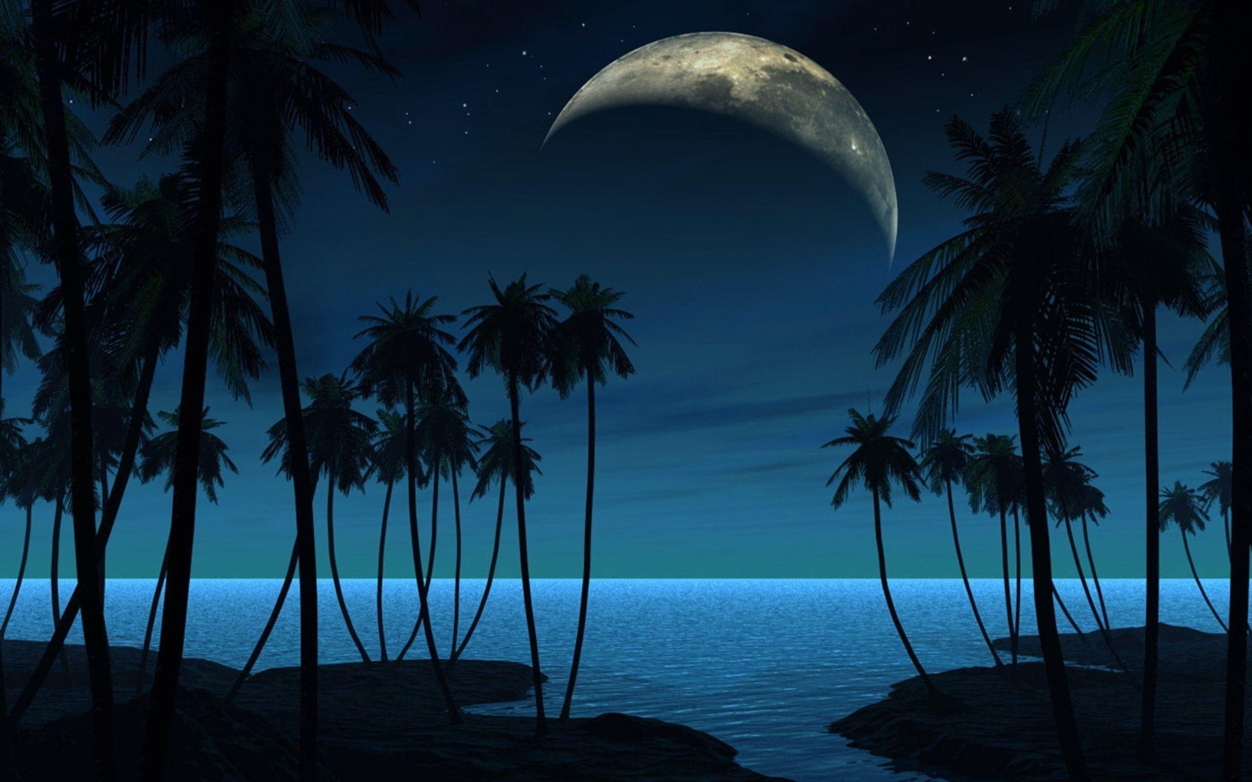 Night Beach HD Wallpapers - Top Free Night Beach HD Backgrounds ...